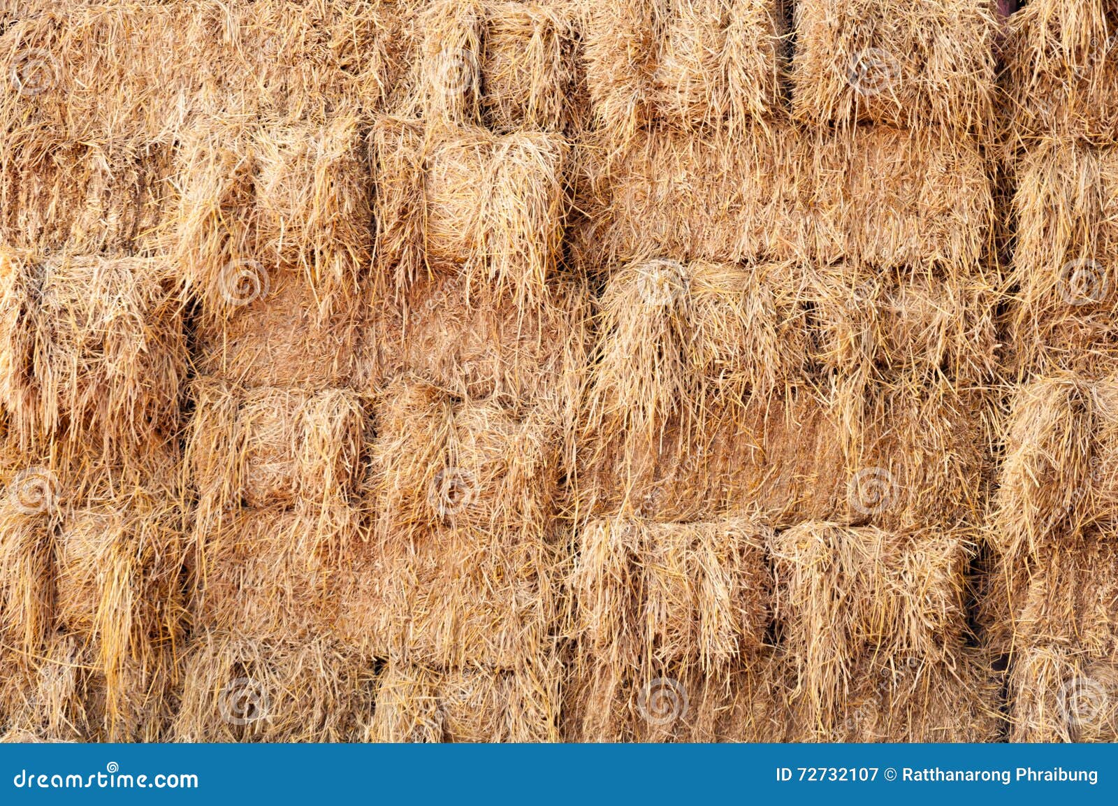 Haystacks Stock after the Havest Season Stock Image - Image of ...