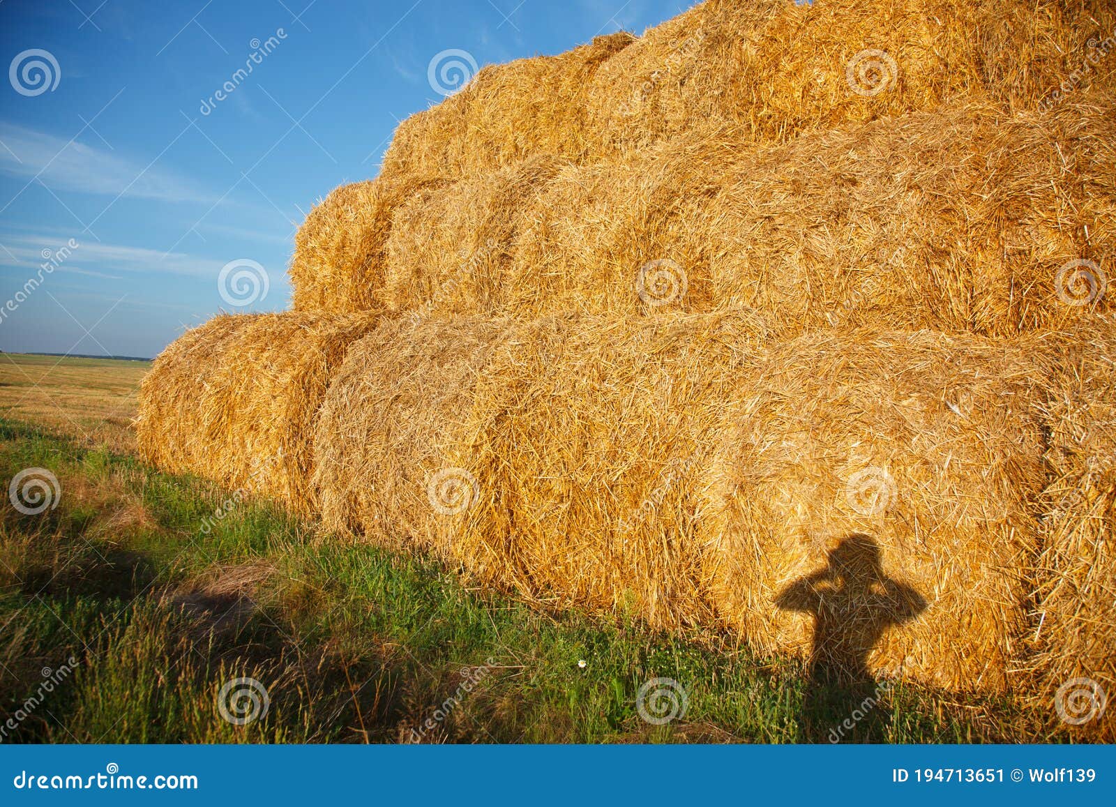 Haystacks of Straw after Harvest in the Field Stock Image - Image of ...