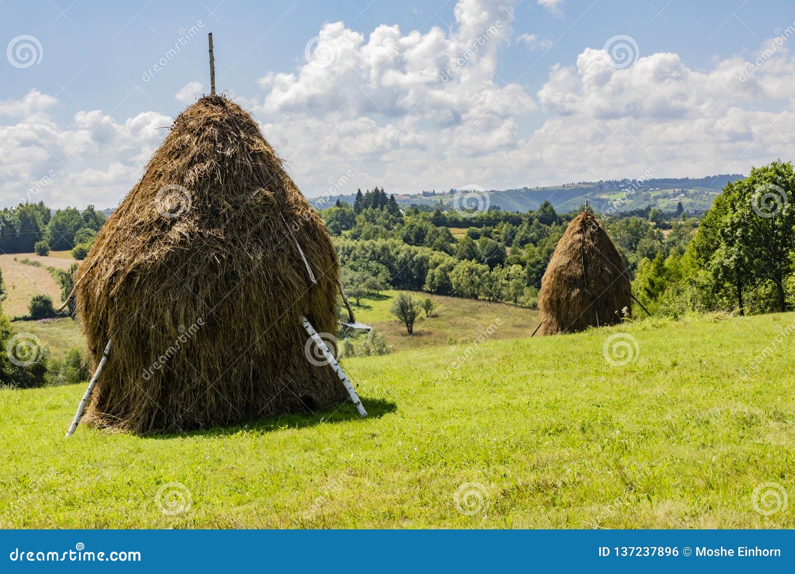 Haystacks in the Sun stock photo. Image of morning, romania - 137237896