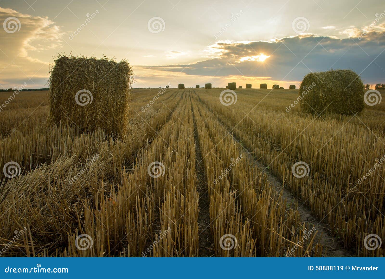 Haystacks.Sunset on the Field Stock Image - Image of green, rural: 58888119