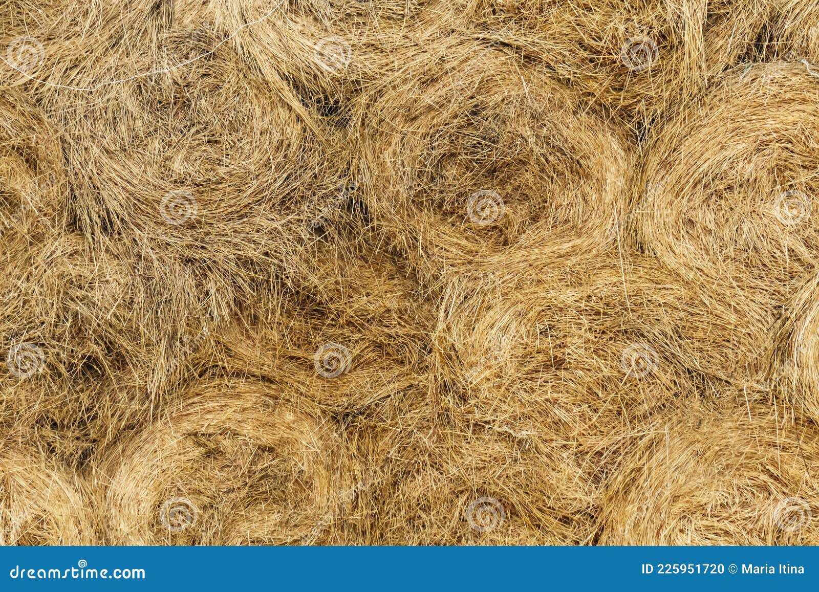 Haystacks texture close up stock photo. Image of haystacks - 225951720