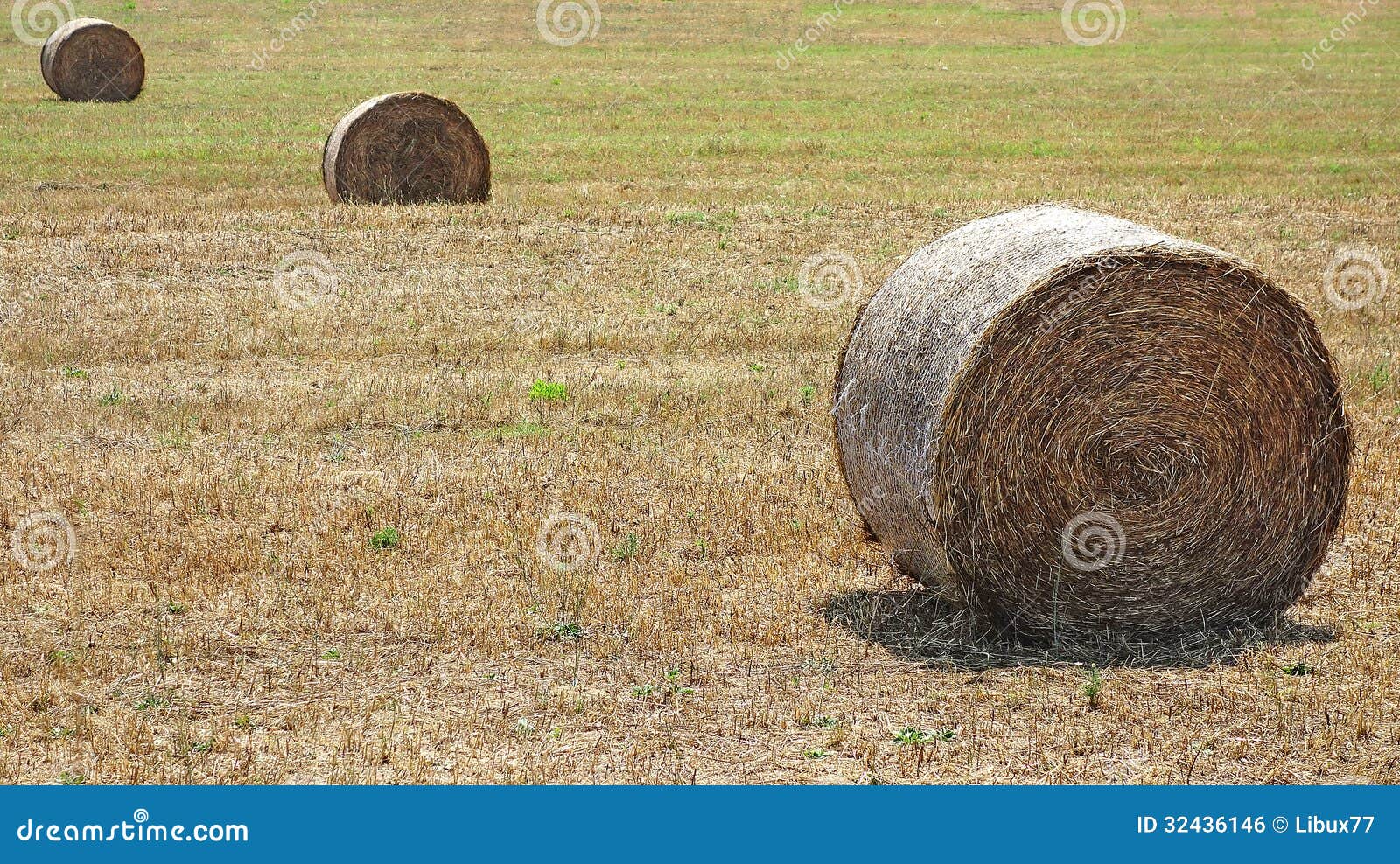 Haystacks stock photo. Image of harvesting, haystack - 32436146