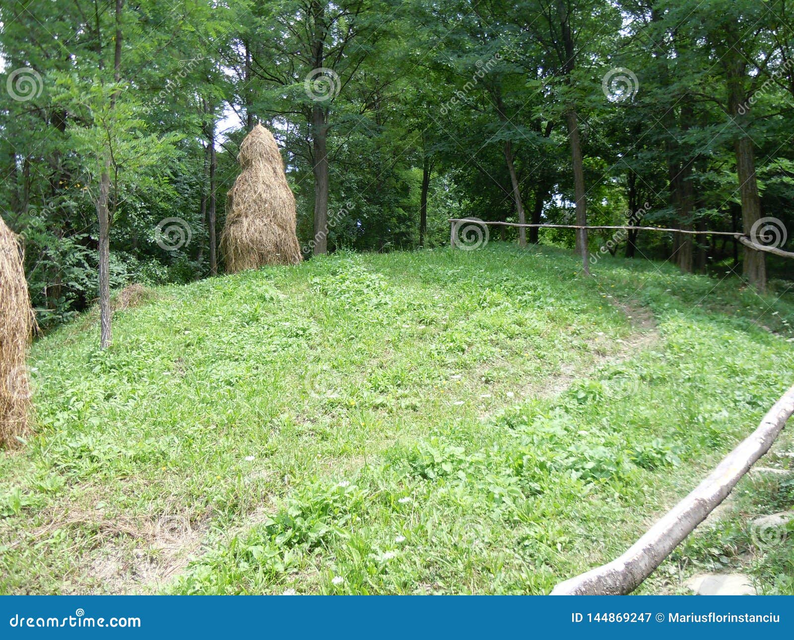 Haystacks between the Trees Stock Image - Image of romanian, trees ...