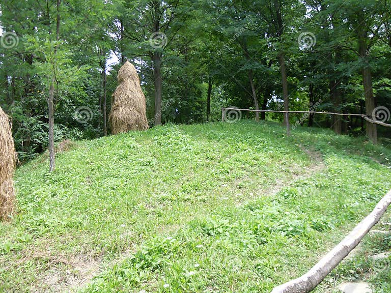 Haystacks between the Trees Stock Image - Image of romanian, trees ...