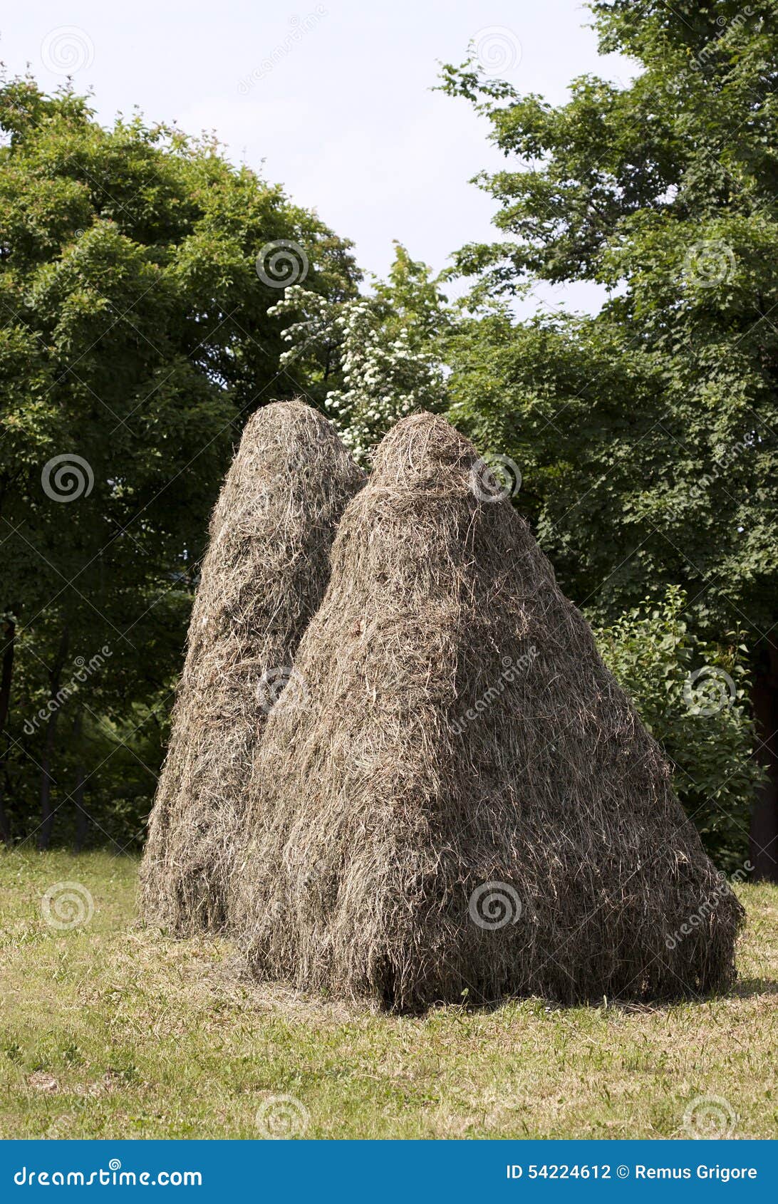 Haystacks stock photo. Image of grass, traditional, green - 54224612