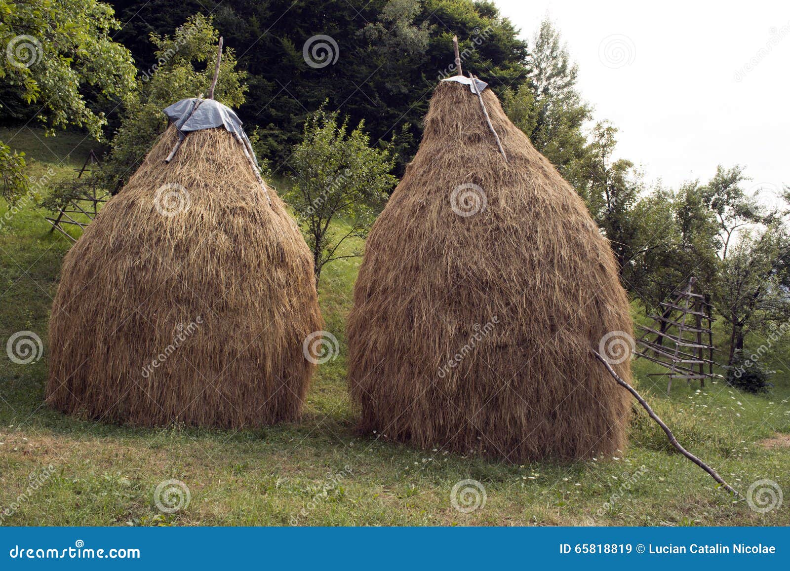 Haystacks stock image. Image of forage, heap, haystack - 65818819
