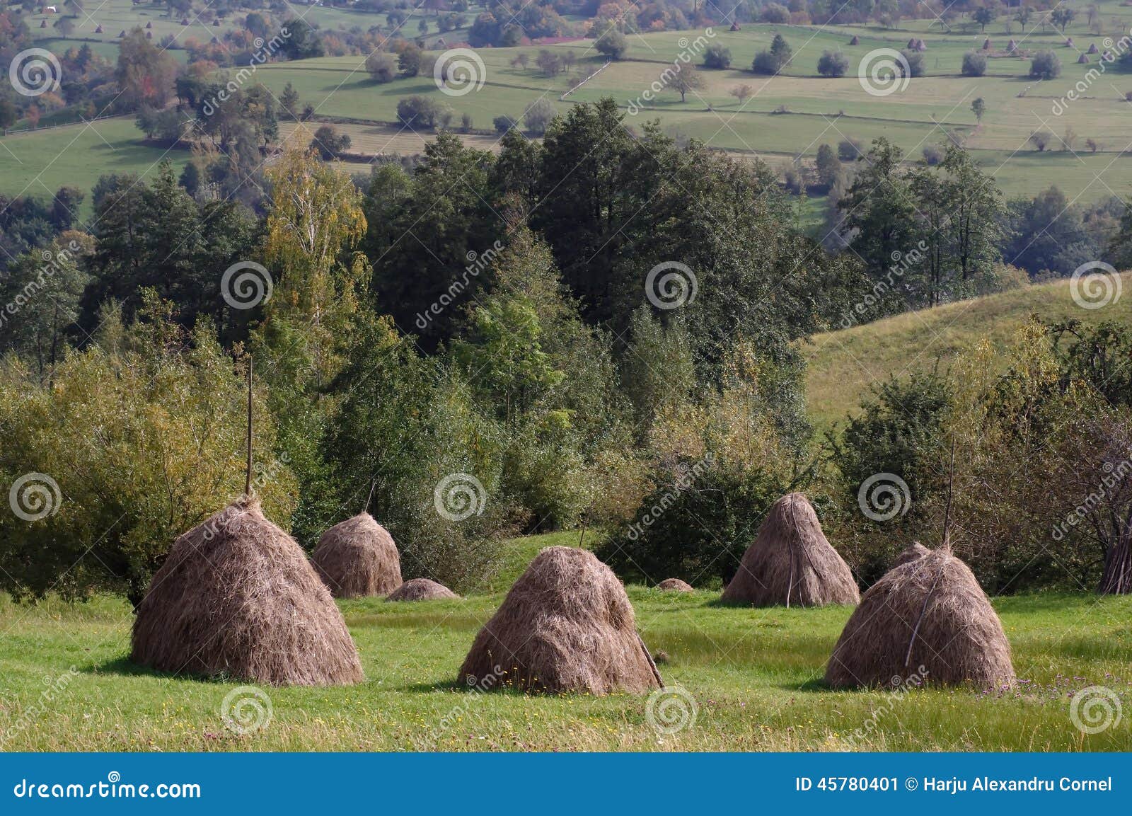 Haystacks stock image. Image of field, country, landscape - 45780401