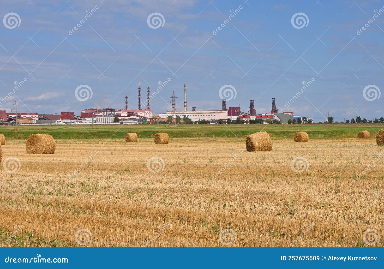Haystacks with a View of the Plant Stock Image - Image of material ...