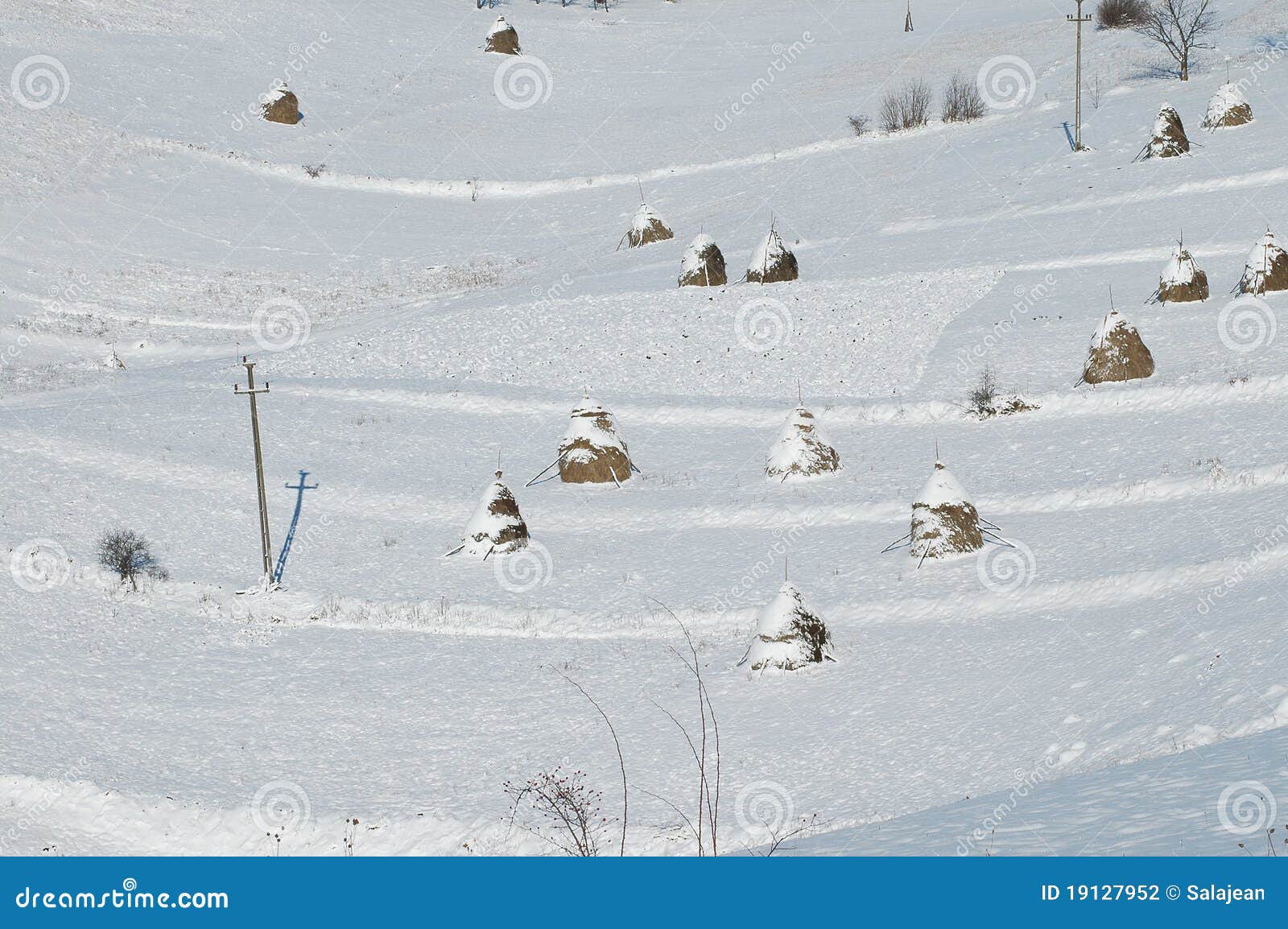 Haystacks at winter stock photo. Image of away, farm - 19127952