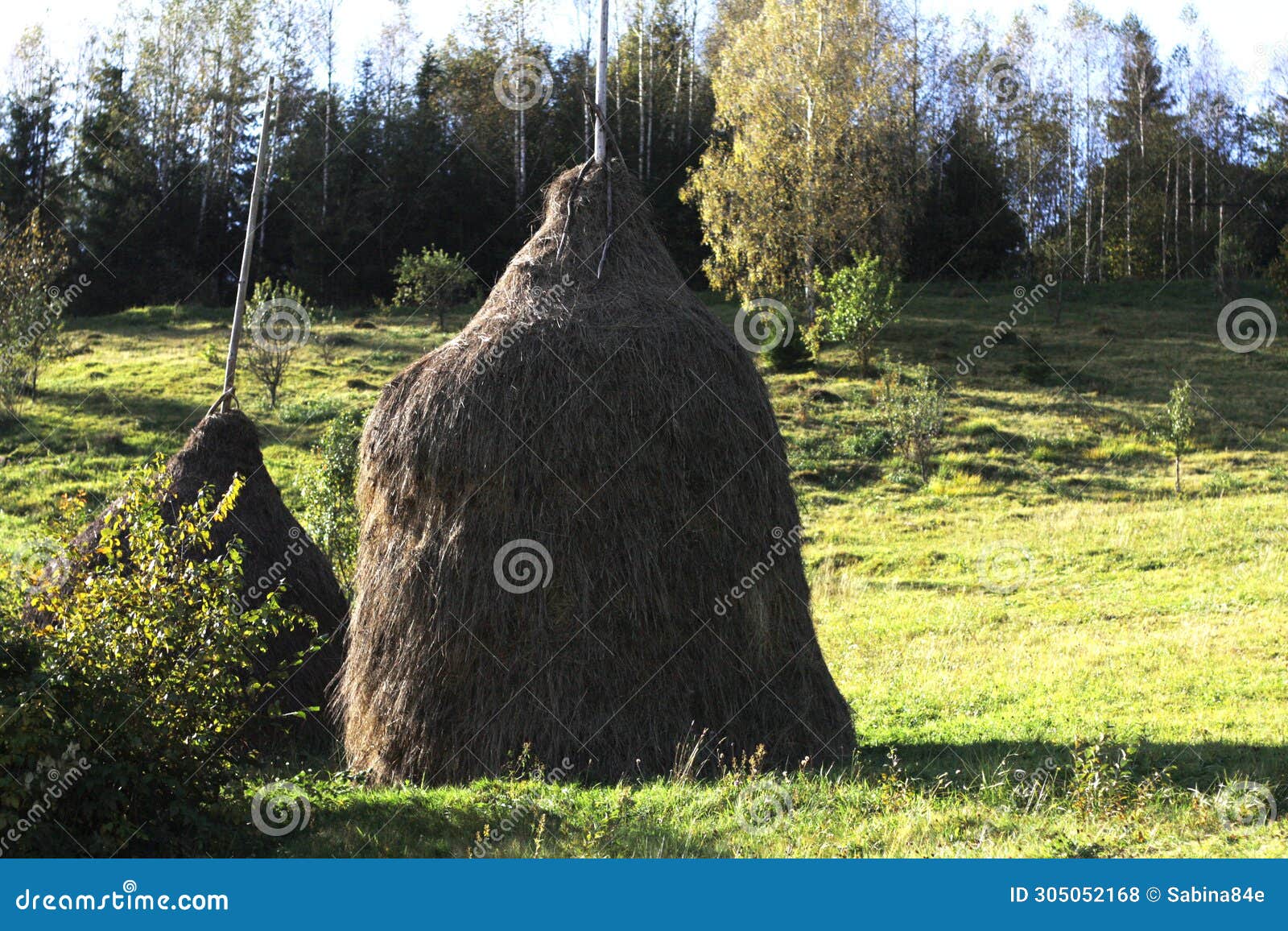 Haystacks in the Yard on the Grass Stock Photo - Image of outdoors ...