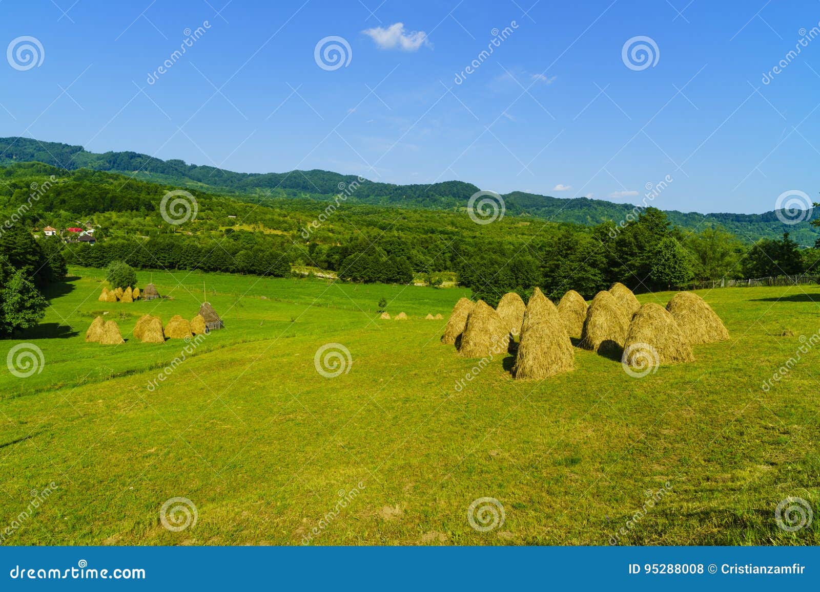 Haystak stock photo. Image of country, harvesting, scenery - 95288008