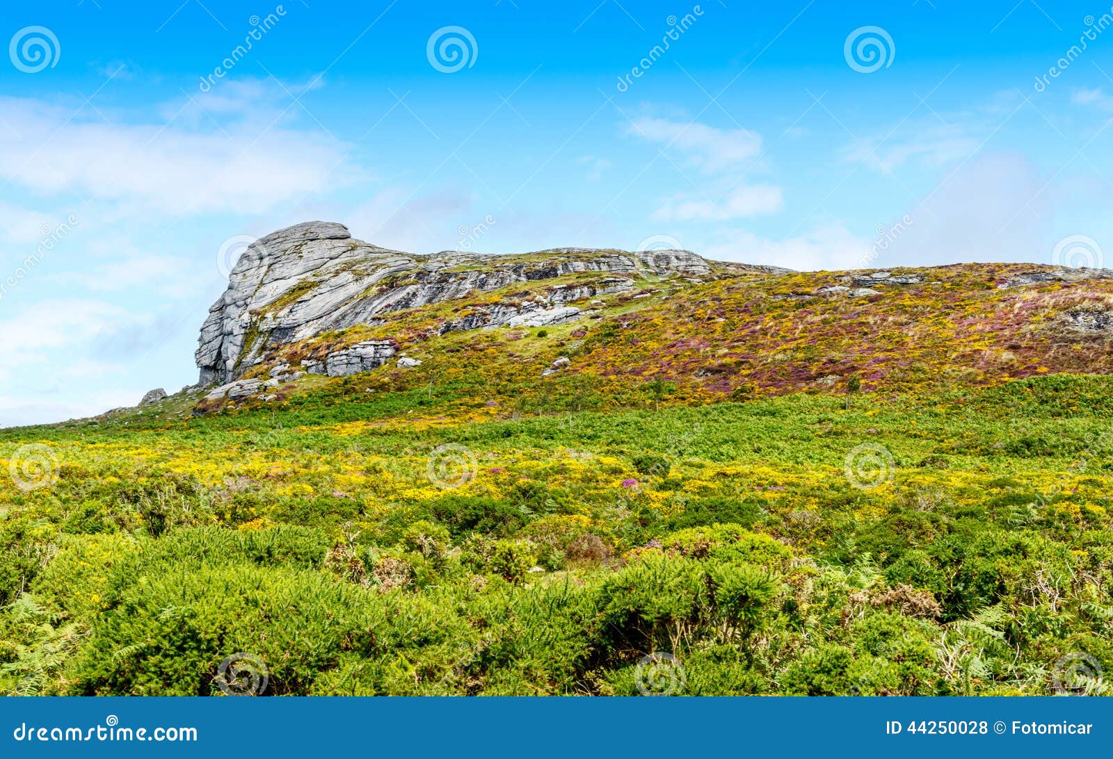 Haytor Tor stock photo. Image of travel, devon, walking - 44250028