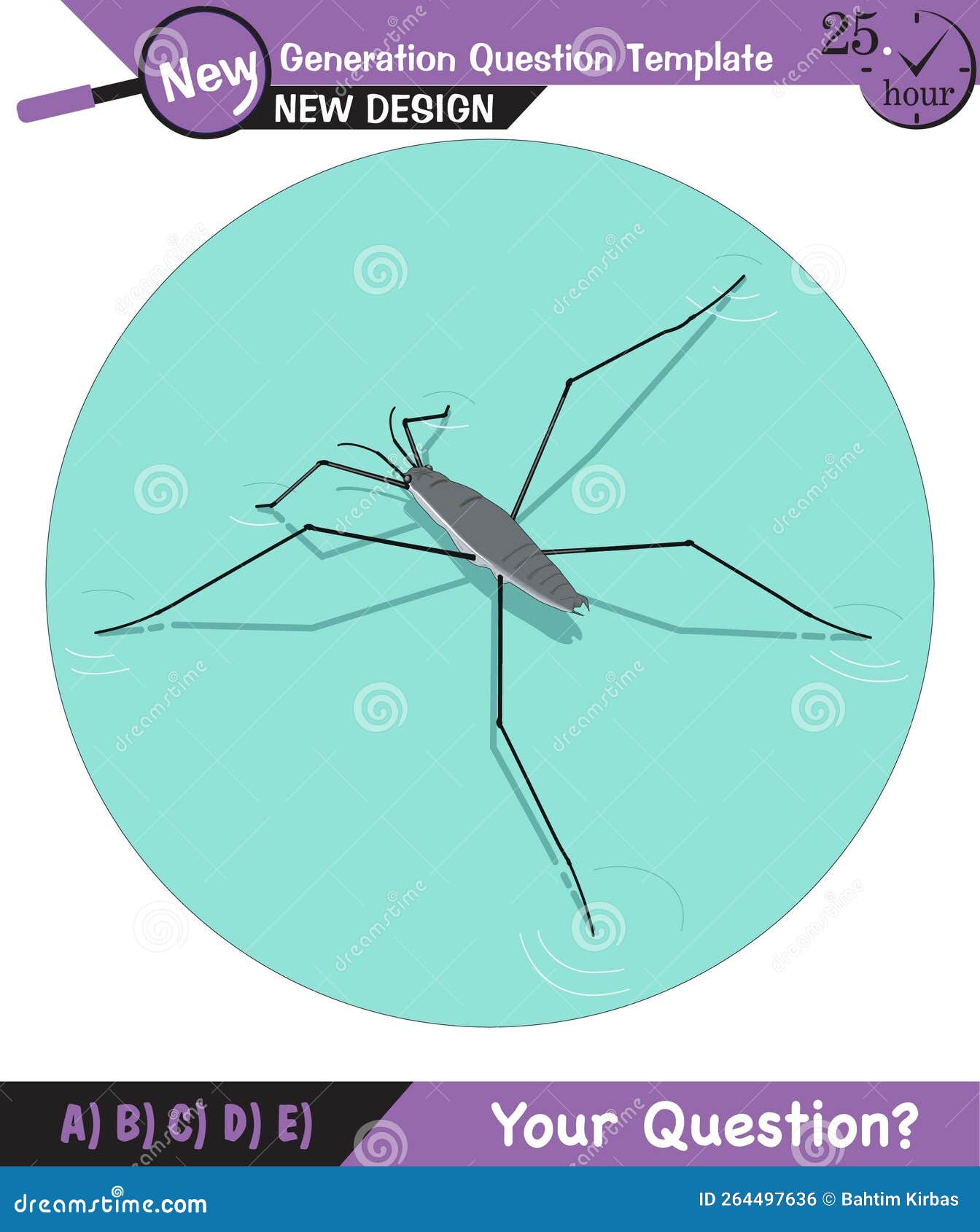 Animal World, Insects, Vector, Eps, New Generation Question Template ...