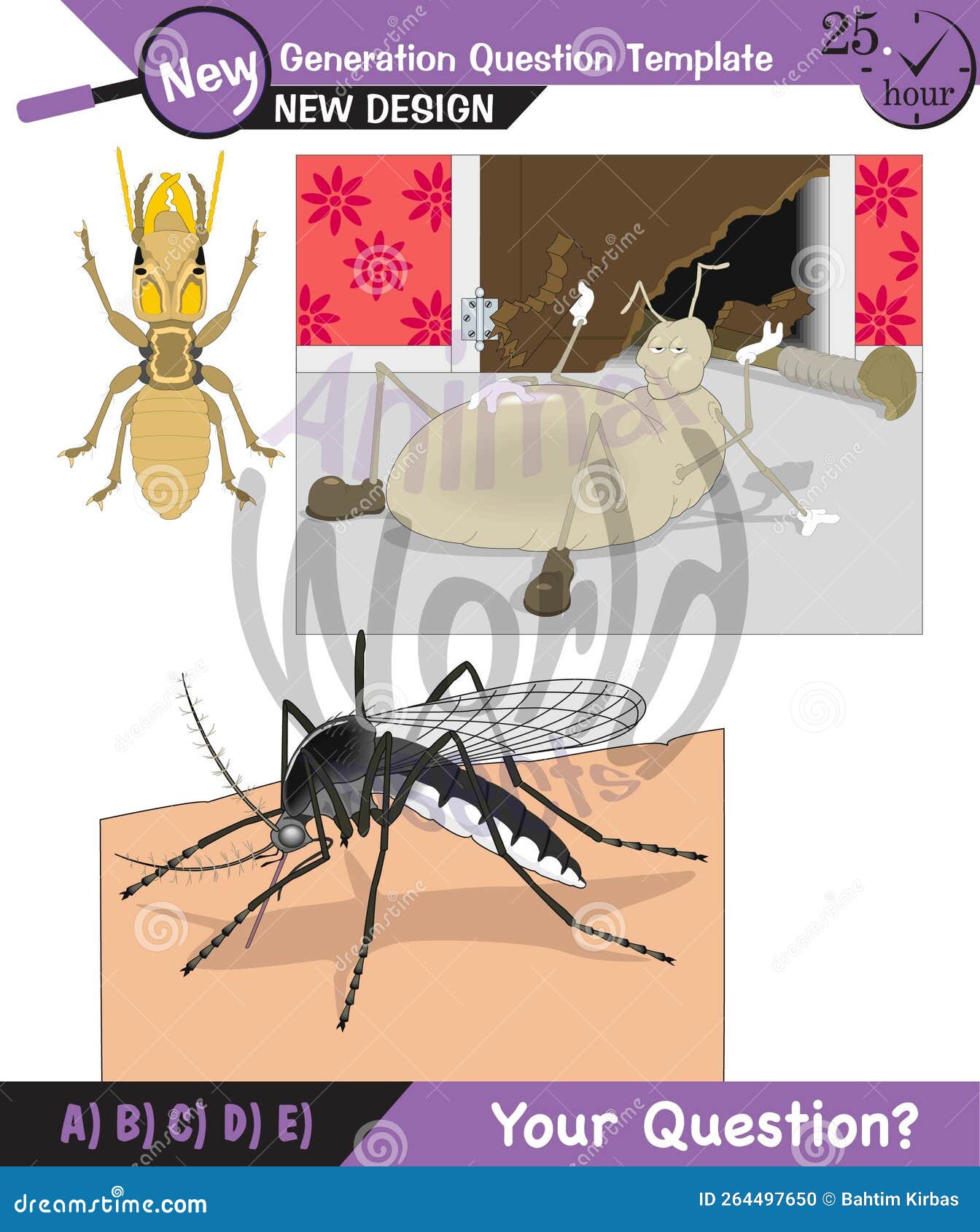 Animal World, Insects, Vector, Eps, New Generation Question Template ...