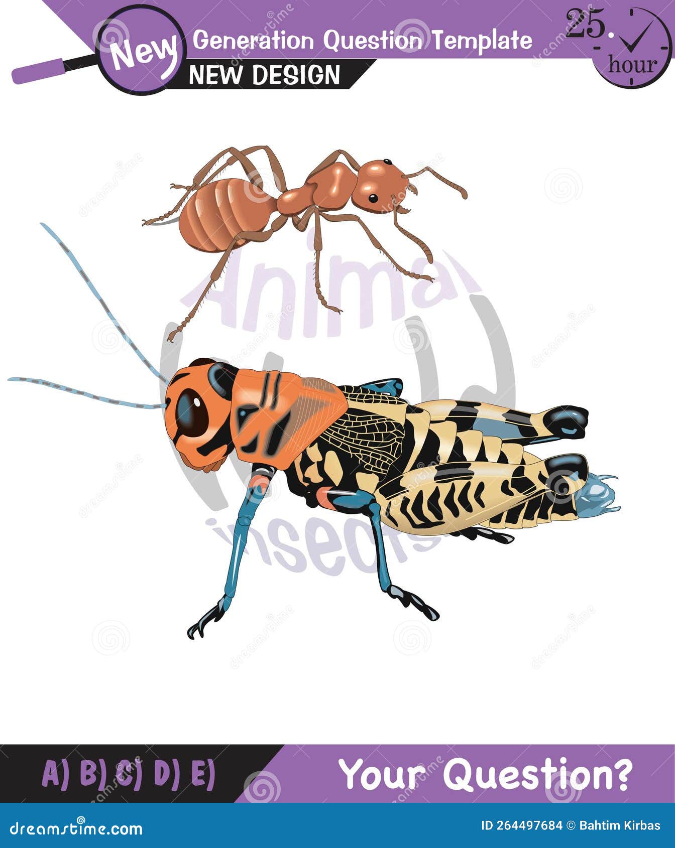 Animal World, Insects, Vector, Eps, New Generation Question Template ...