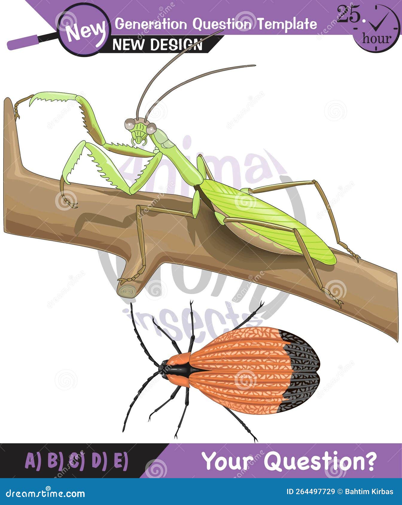 Animal World, Insects, Vector, Eps, New Generation Question Template ...