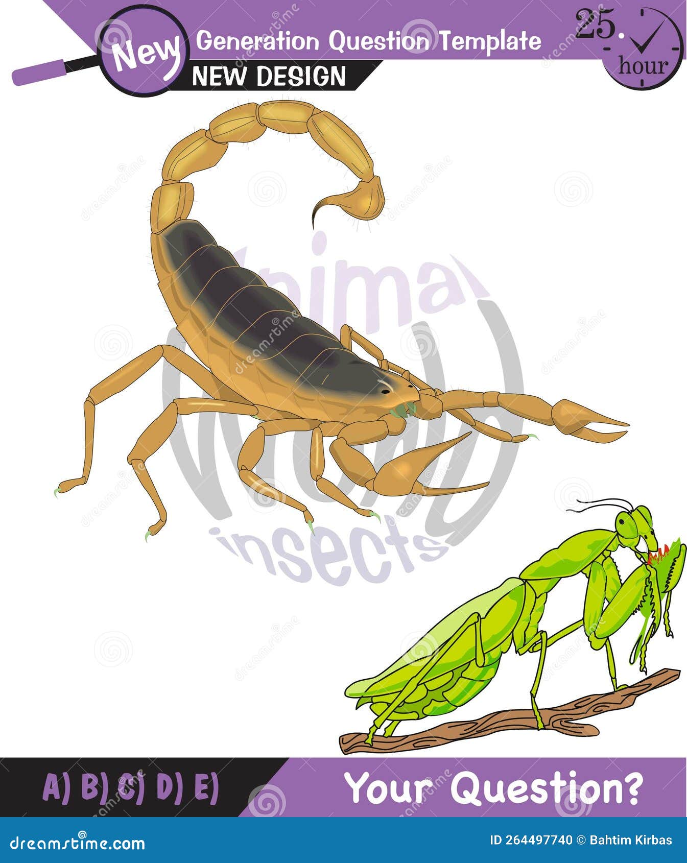 Animal World, Insects, Vector, Eps, New Generation Question Template ...