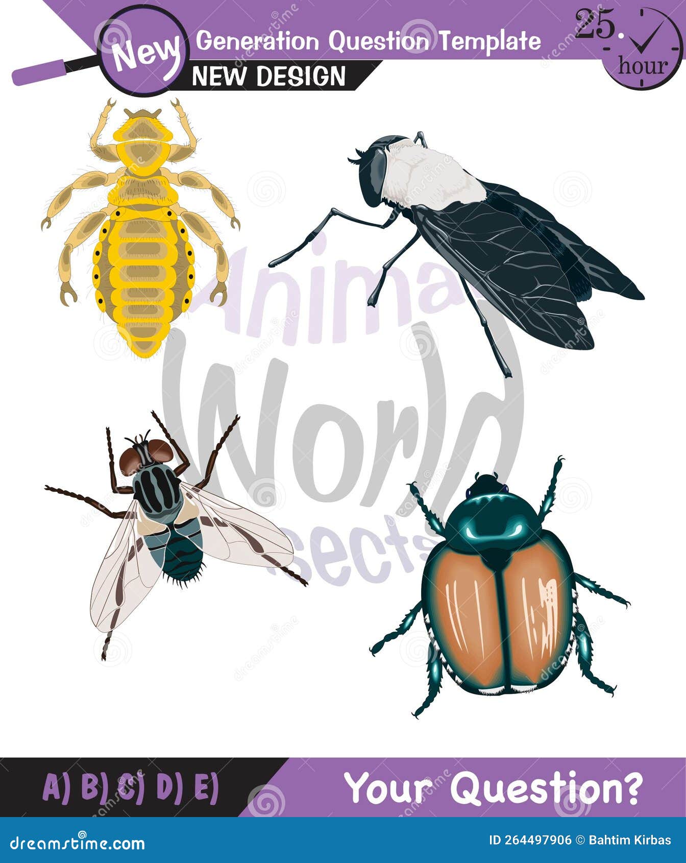 Animal World, Insects, Vector, Eps, New Generation Question Template ...