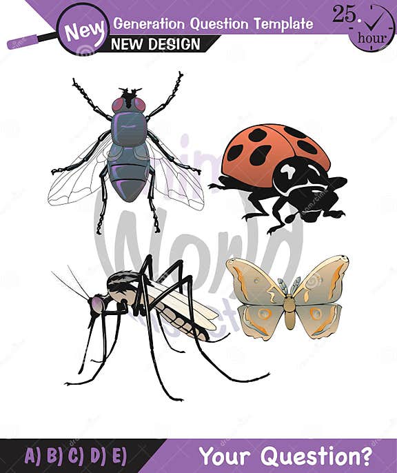 Animal World, Insects, Vector, Eps, New Generation Question Template ...