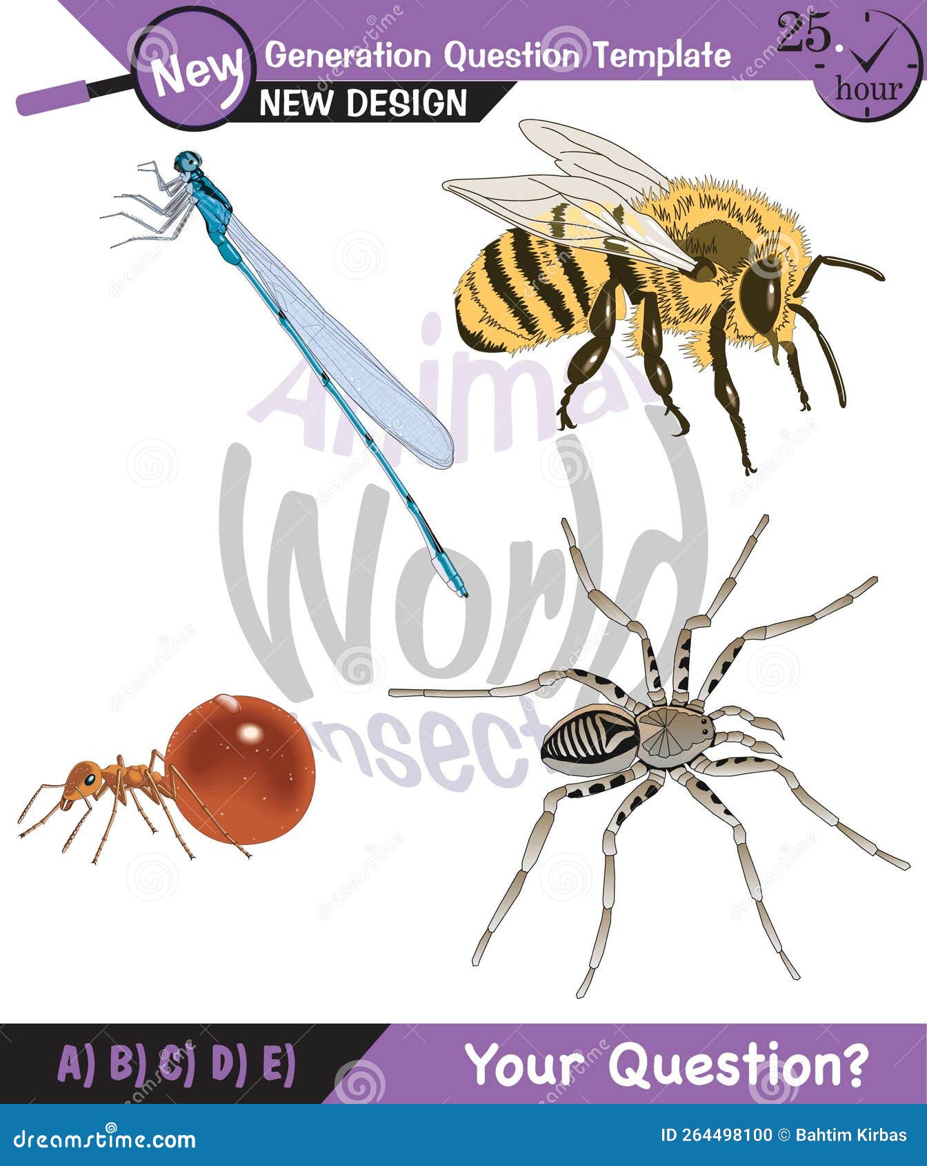 Animal World, Insects, Vector, Eps, New Generation Question Template ...