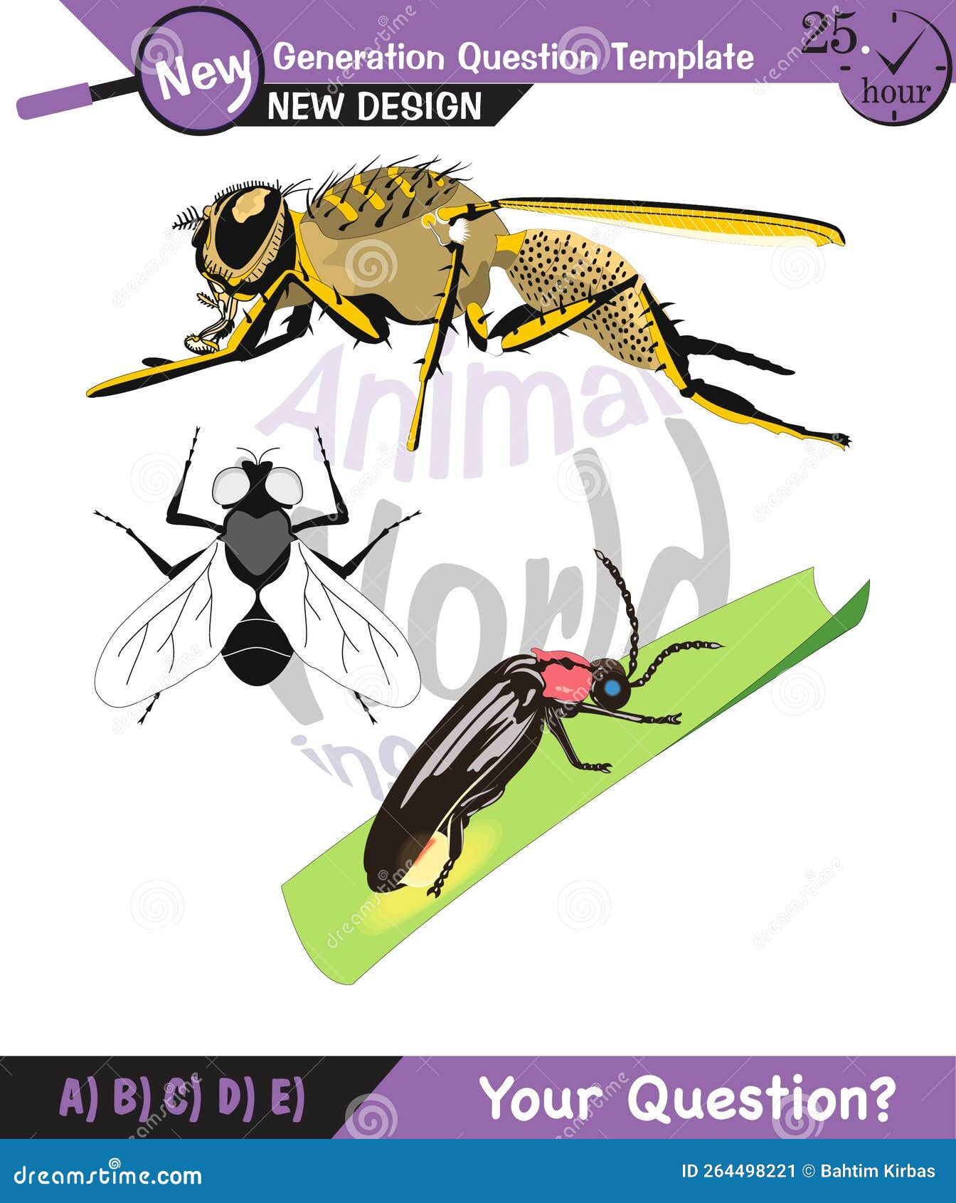 Animal World, Insects, Vector, Eps, New Generation Question Template ...