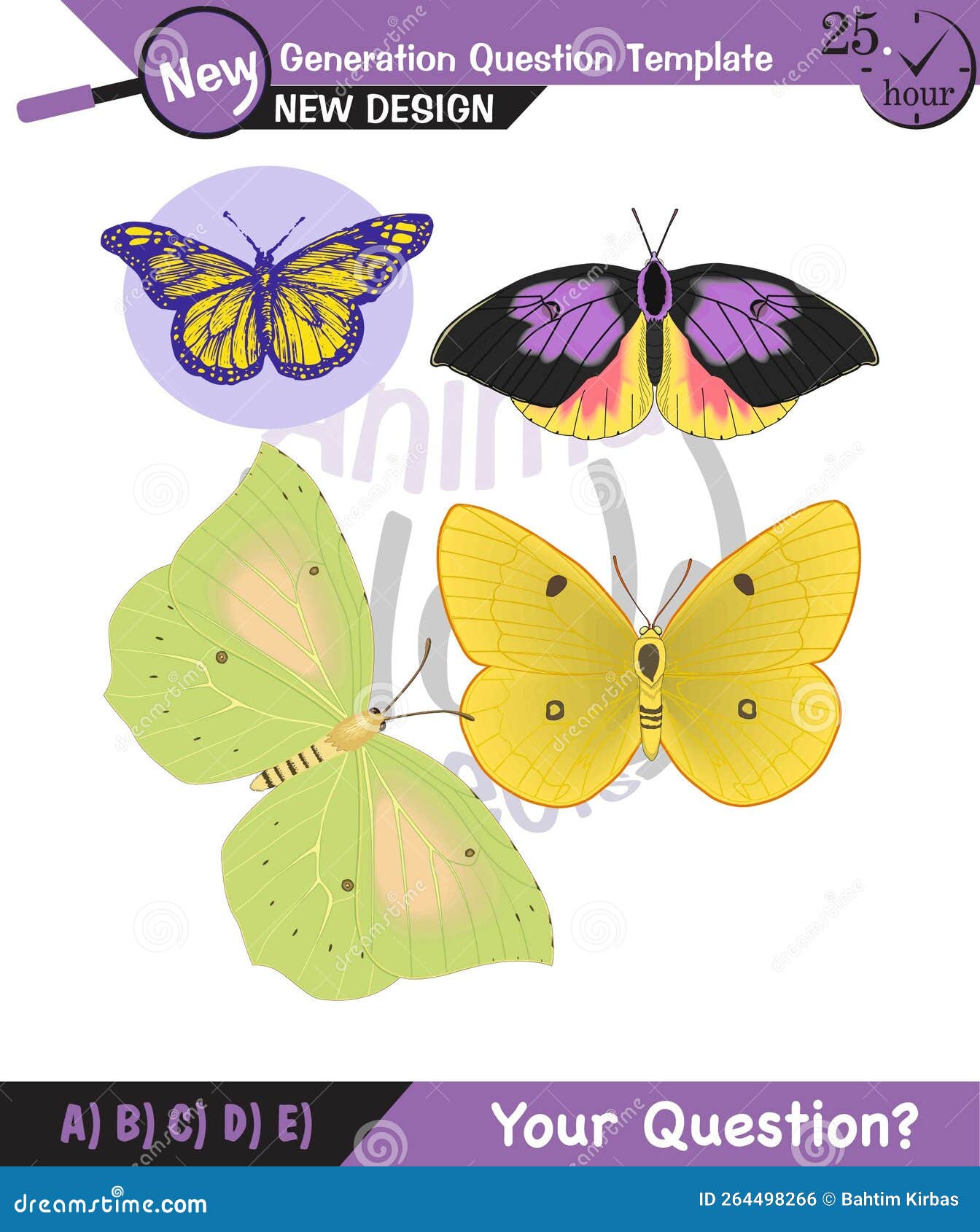 Animal World, Insects, Vector, Eps, New Generation Question Template ...