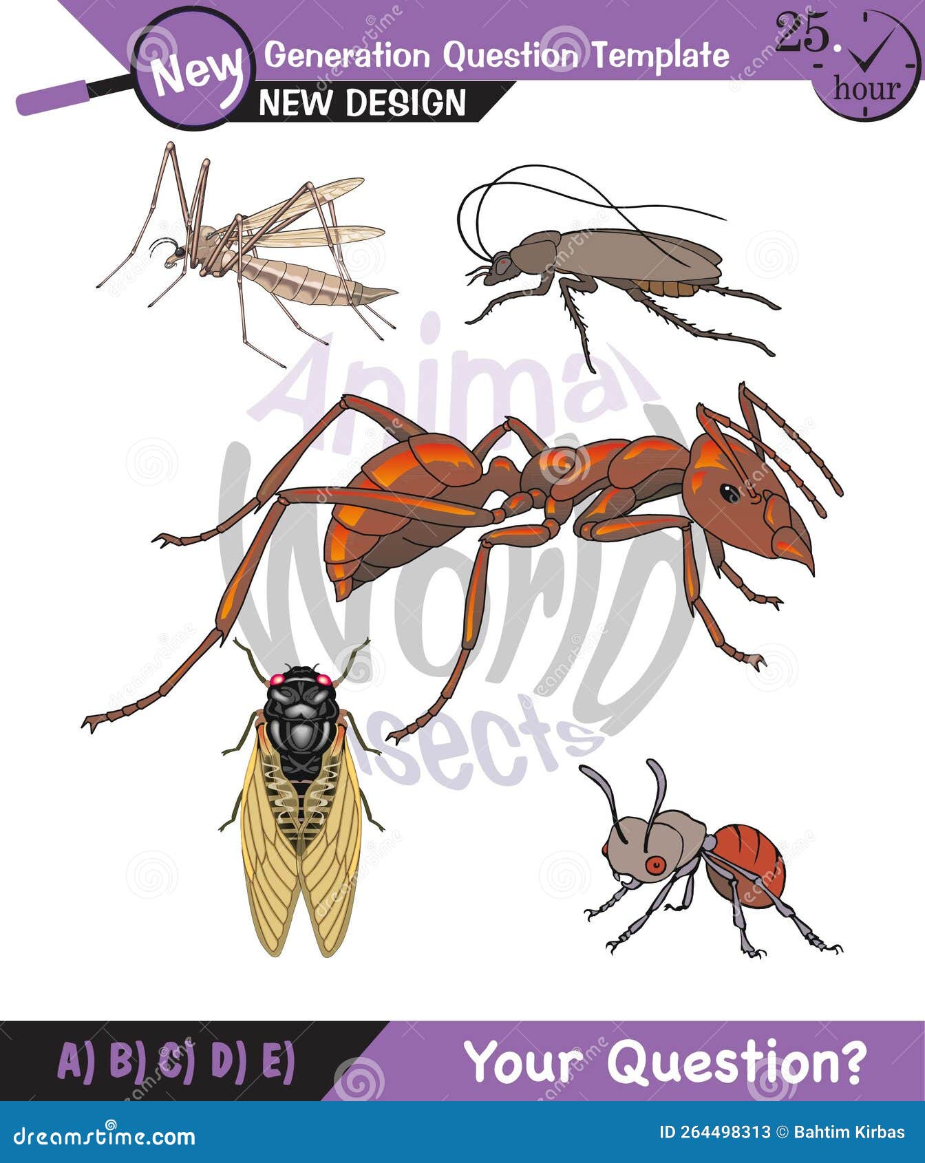 Animal World, Insects, Vector, Eps, New Generation Question Template ...