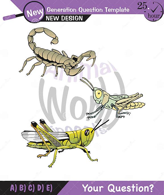 Animal World, Insects, Vector, Eps, New Generation Question Template ...