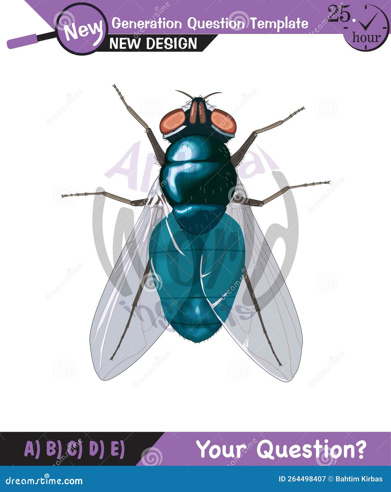 Animal World, Insects, Vector, Eps, New Generation Question Template ...