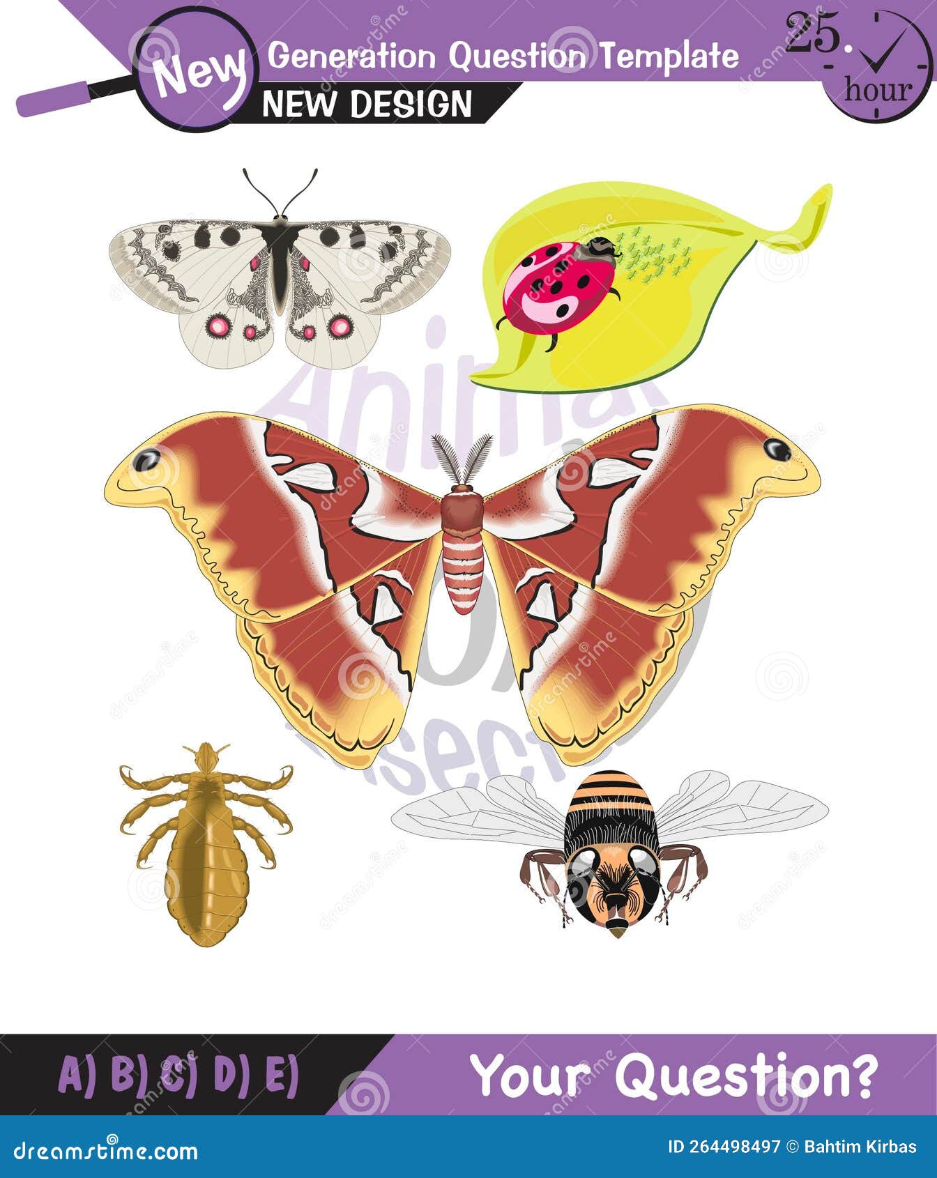 Animal World, Insects, Vector, Eps, New Generation Question Template ...