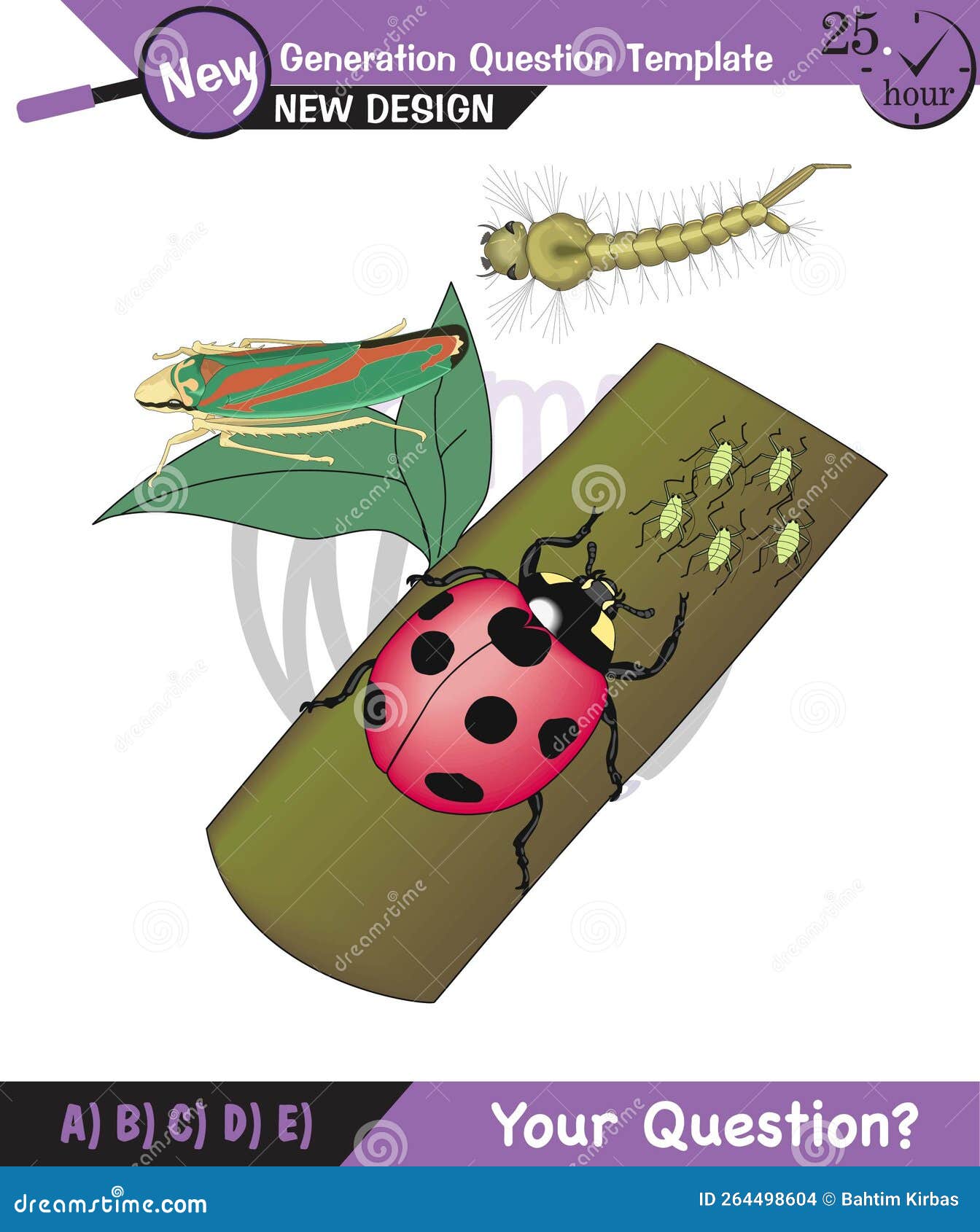 Animal World, Insects, Vector, Eps, New Generation Question Template ...
