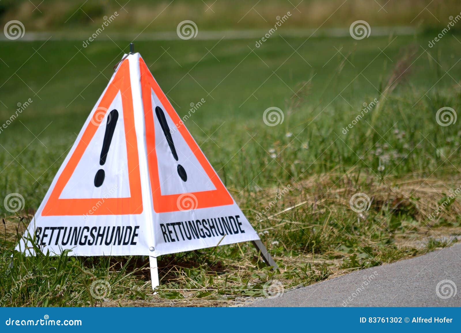 Hazard Warning Triangle Rescue Dogs Stock Photo - Image of alert ...