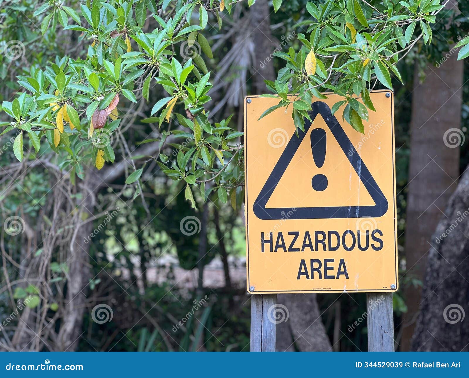 Hazardous Area Warning Sign in a Rainforest Stock Image - Image of ...