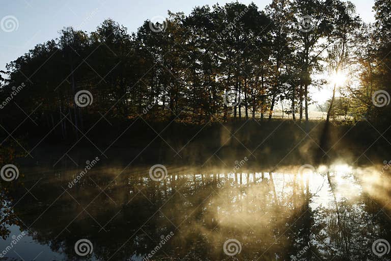 Haze Above a Pond, Side View Stock Image - Image of leaf, quiet: 7490849