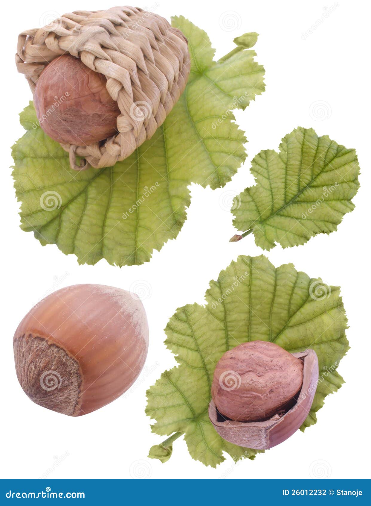 Hazel in basket stock photo. Image of closeup, wooden - 26012232