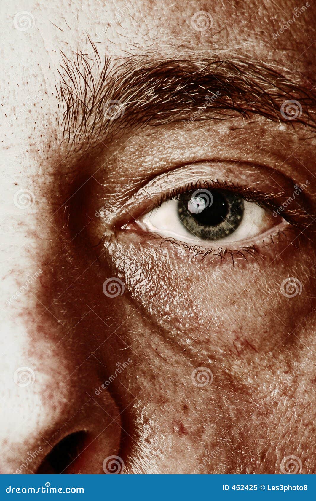 Hazel eye stock image. Image of blank, retina, look, male - 452425