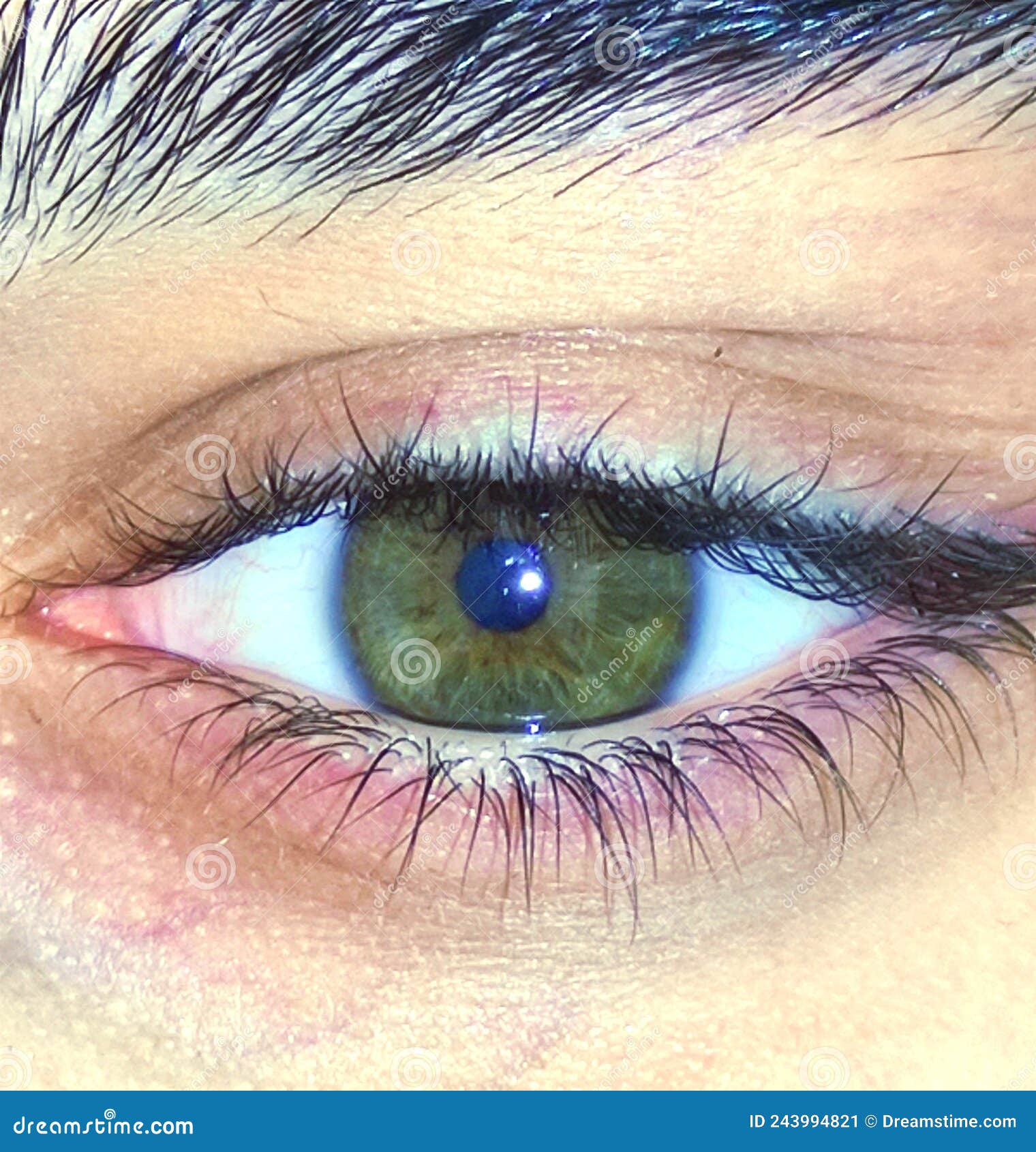 Hazel eye stock image. Image of hazel, greeneye, eyes - 243994821