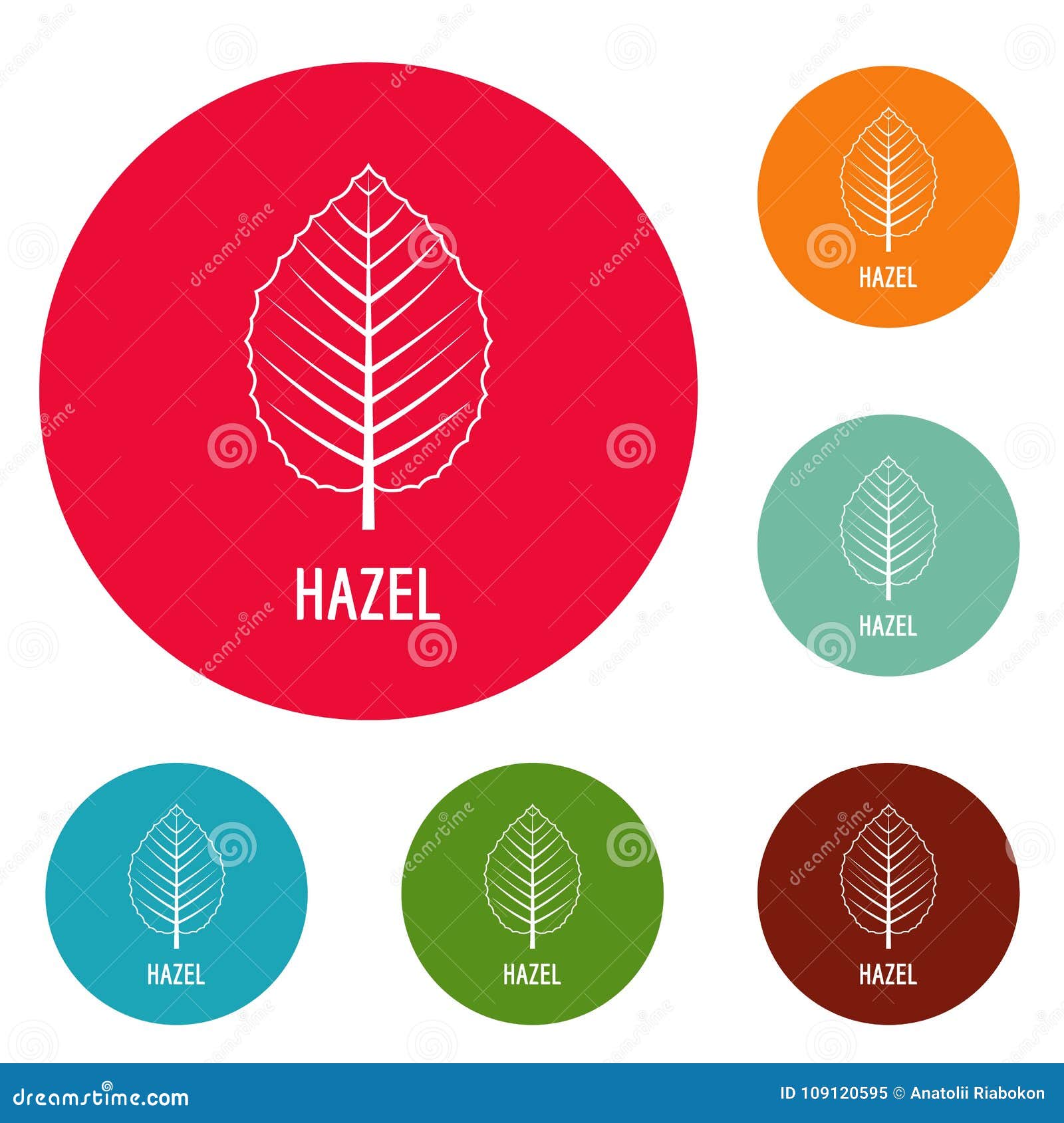 Hazel Leaf Icons Circle Set Vector Stock Vector - Illustration of ...