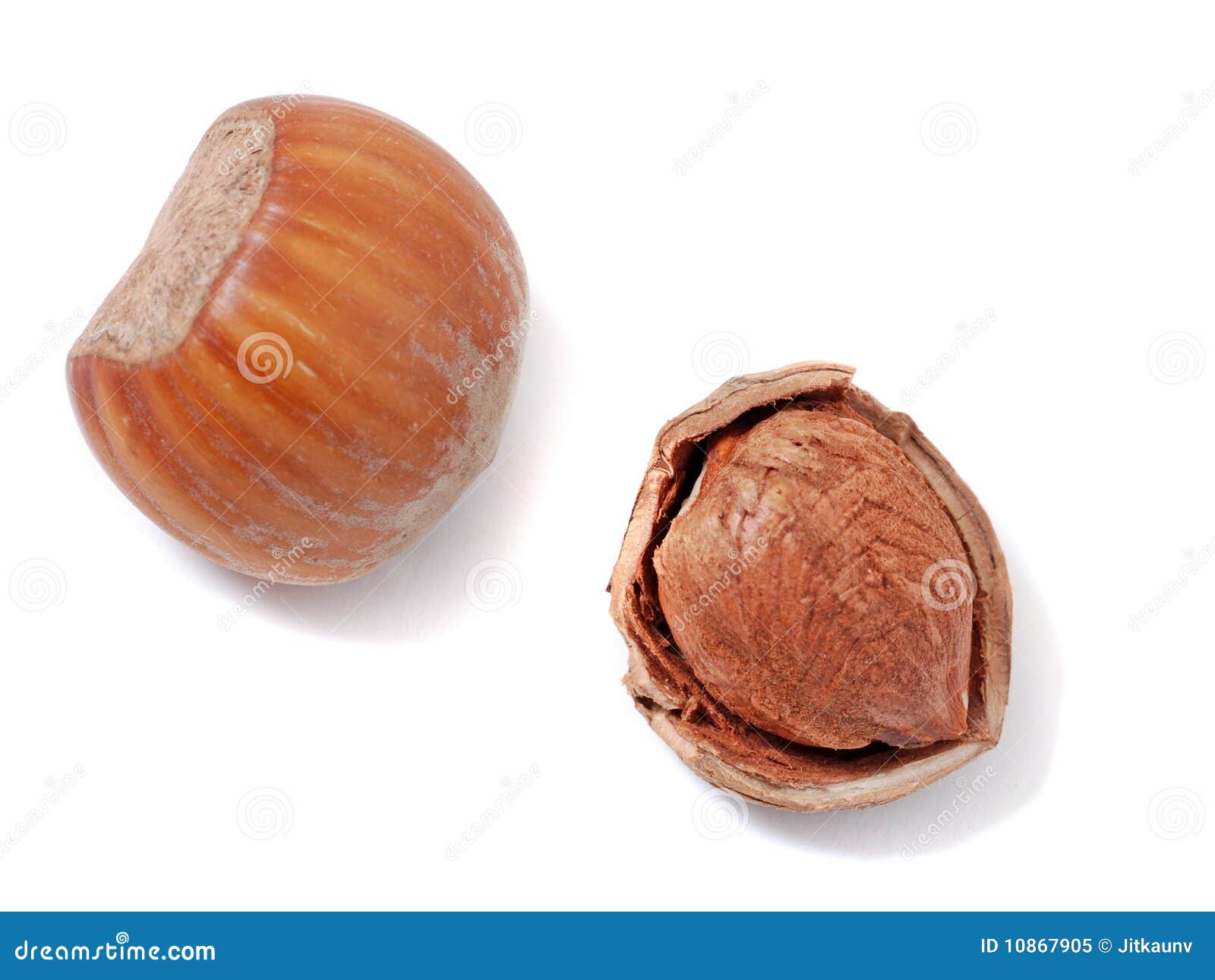 Hazel nut stock image. Image of background, hazelnuts - 10867905