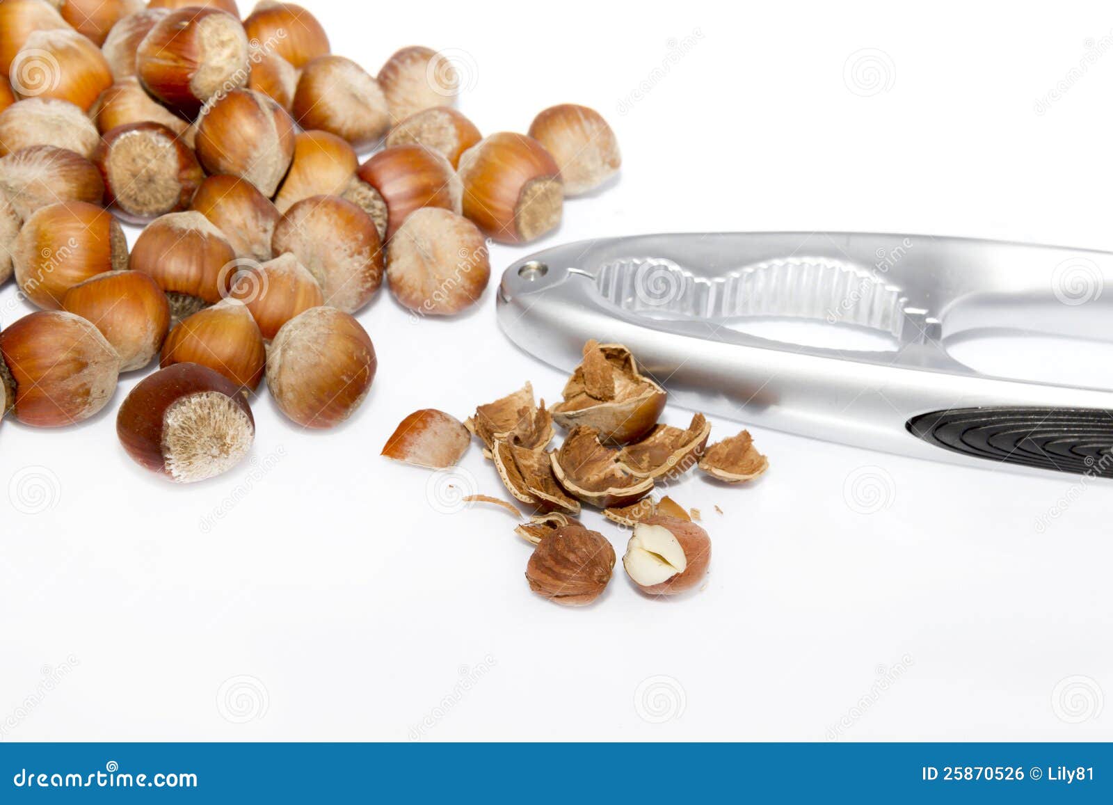 Hazel nut and cracke stock photo. Image of ingredient - 25870526