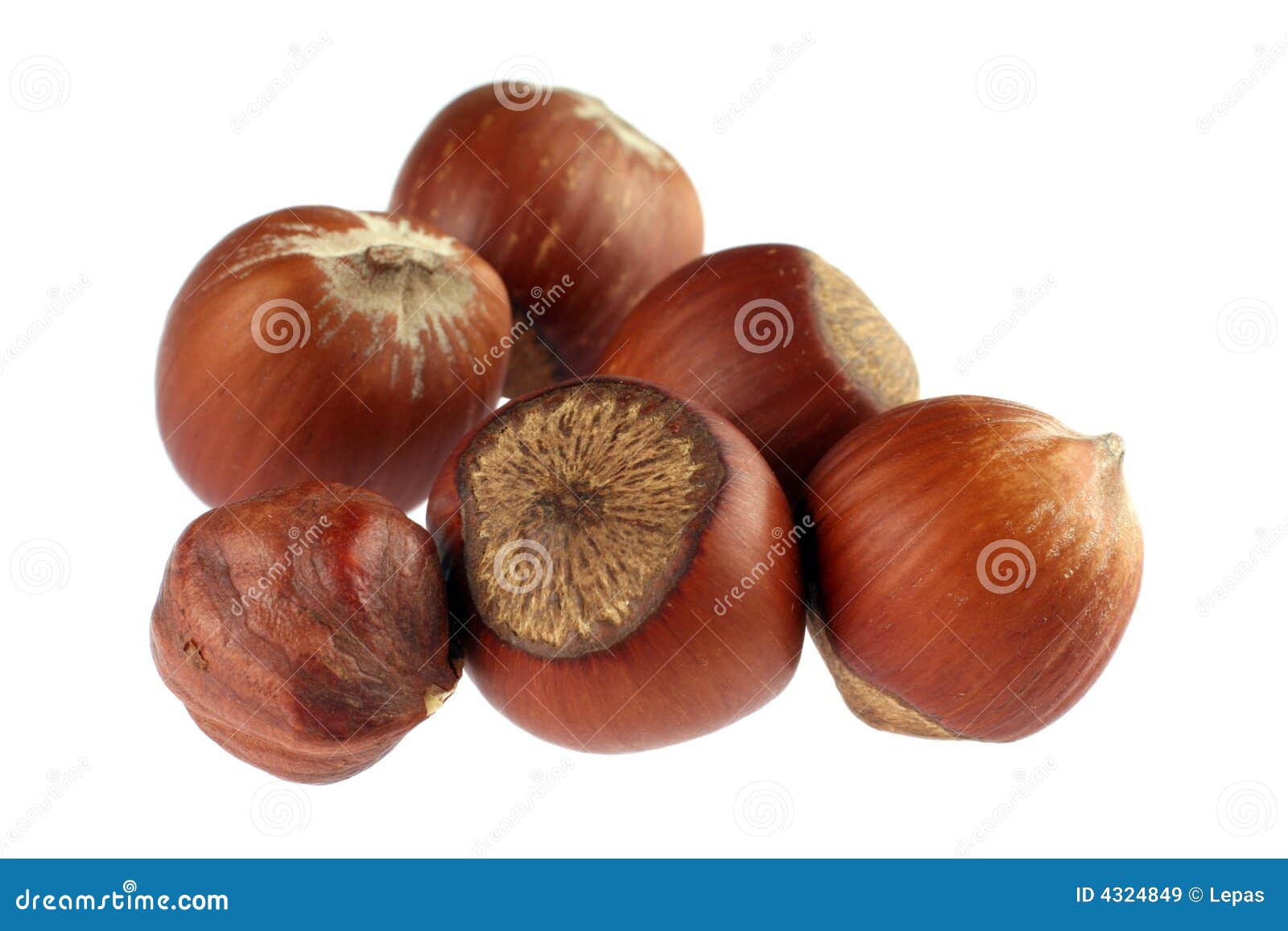 Hazel nut detail stock image. Image of broken, food, shell - 4324849