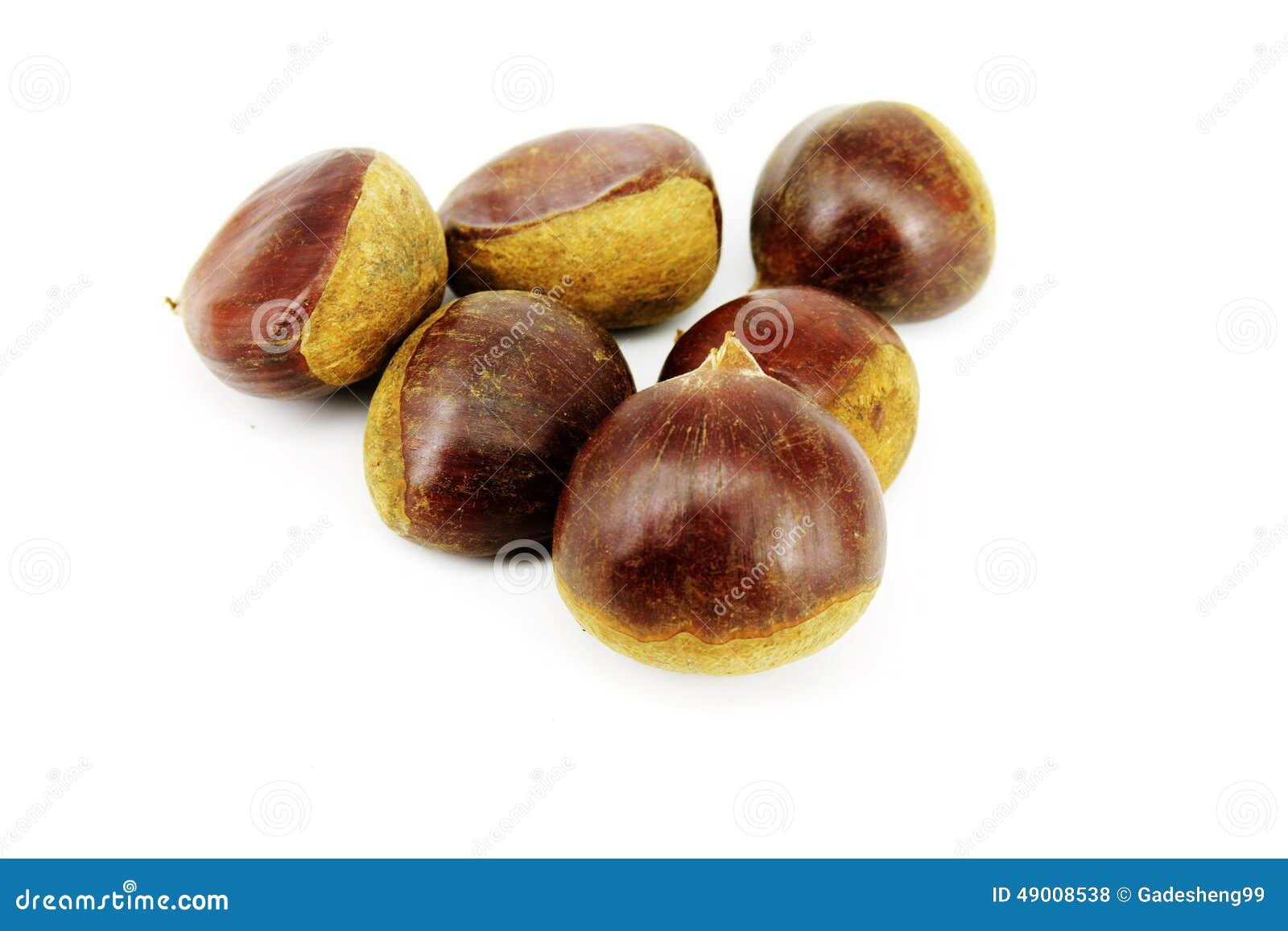 Hazel nut stock photo. Image of broken, hazelnuts, ingredient - 49008538