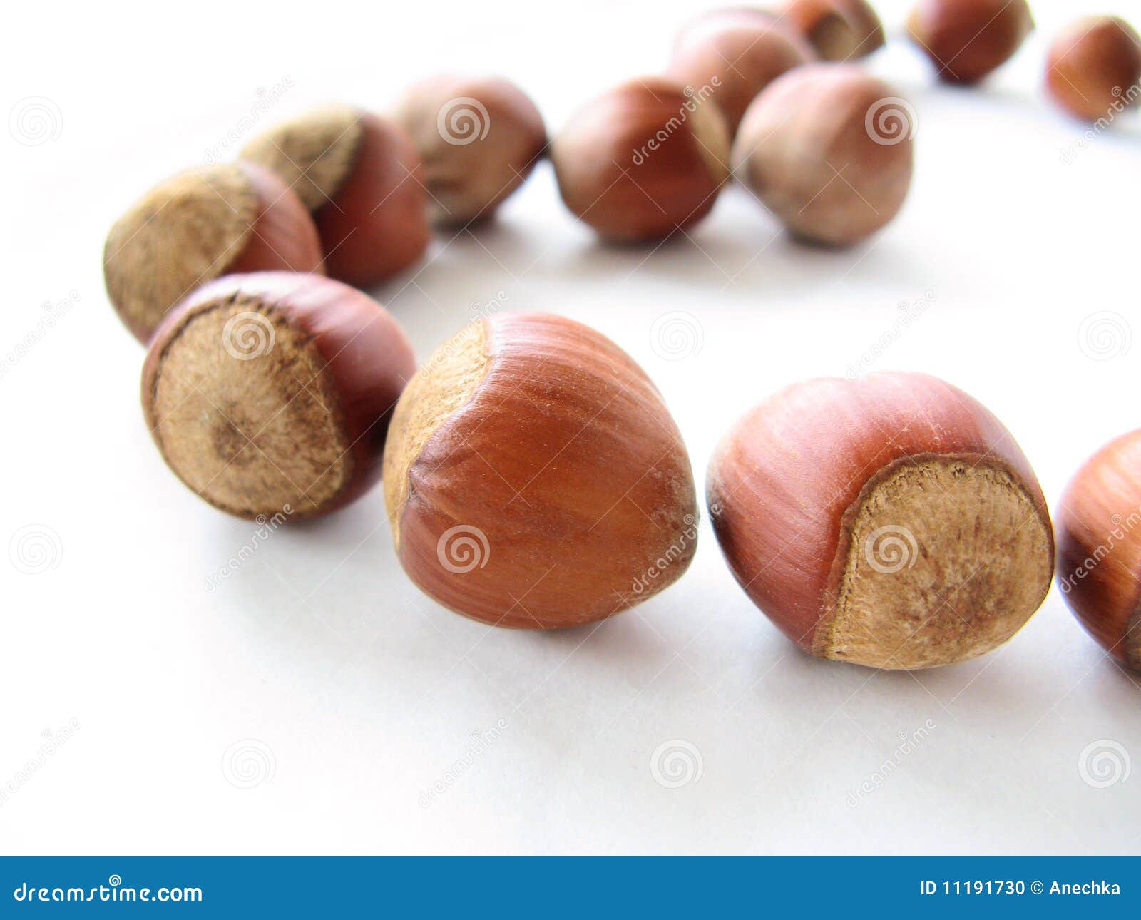 Hazel-nuts stock photo. Image of hazel, nutshell, healthy - 11191730