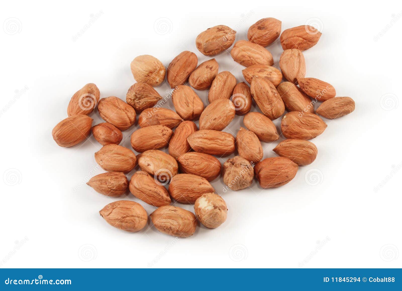 Hazel nuts stock photo. Image of brown, nutshell, nature - 11845294