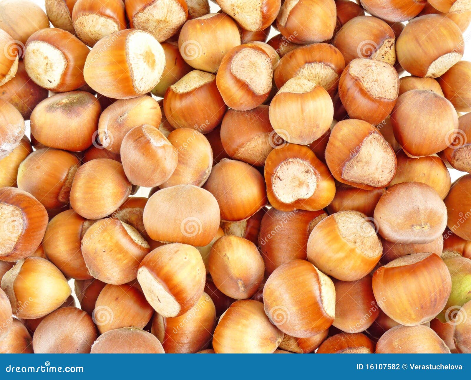 Hazel nuts stock photo. Image of hazelnut, harvest, health - 16107582