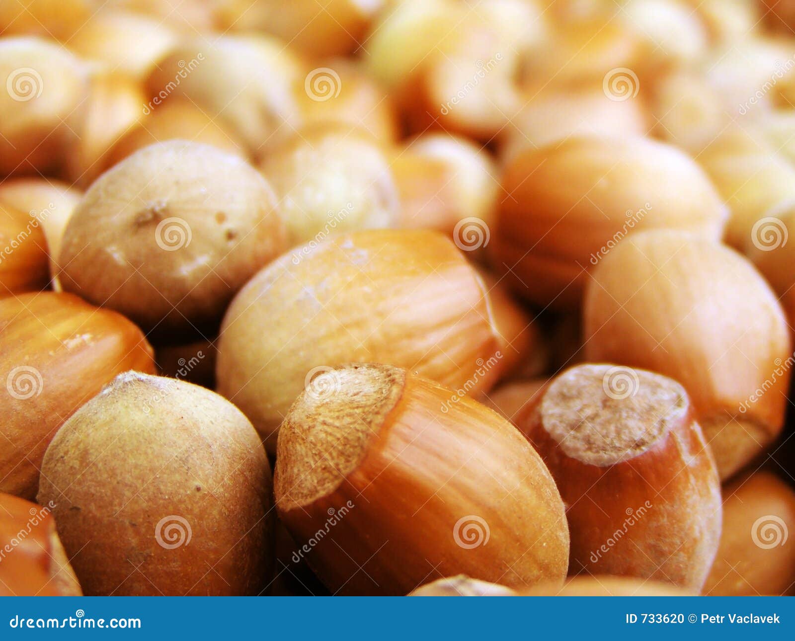 Hazel nuts stock photo. Image of breakfast, foodstuff, health - 733620