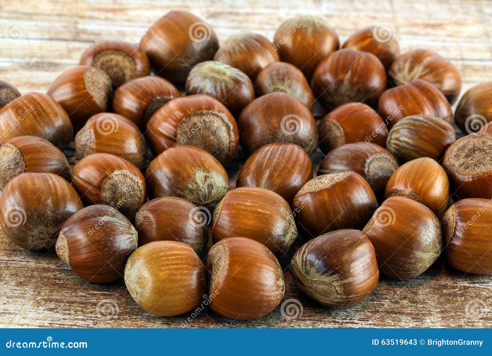 Hazel nuts stock image. Image of food, snack, full, close - 63519643