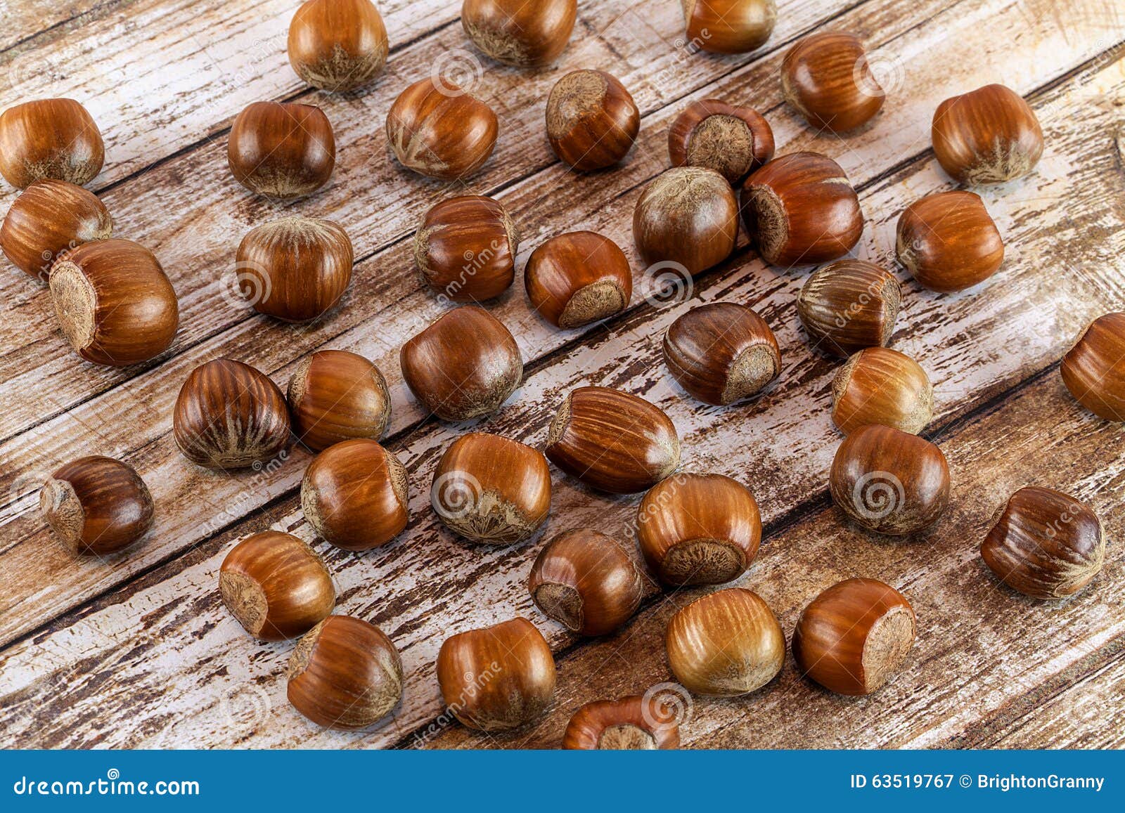 Hazel nuts stock image. Image of healthy, hazel, food - 63519767