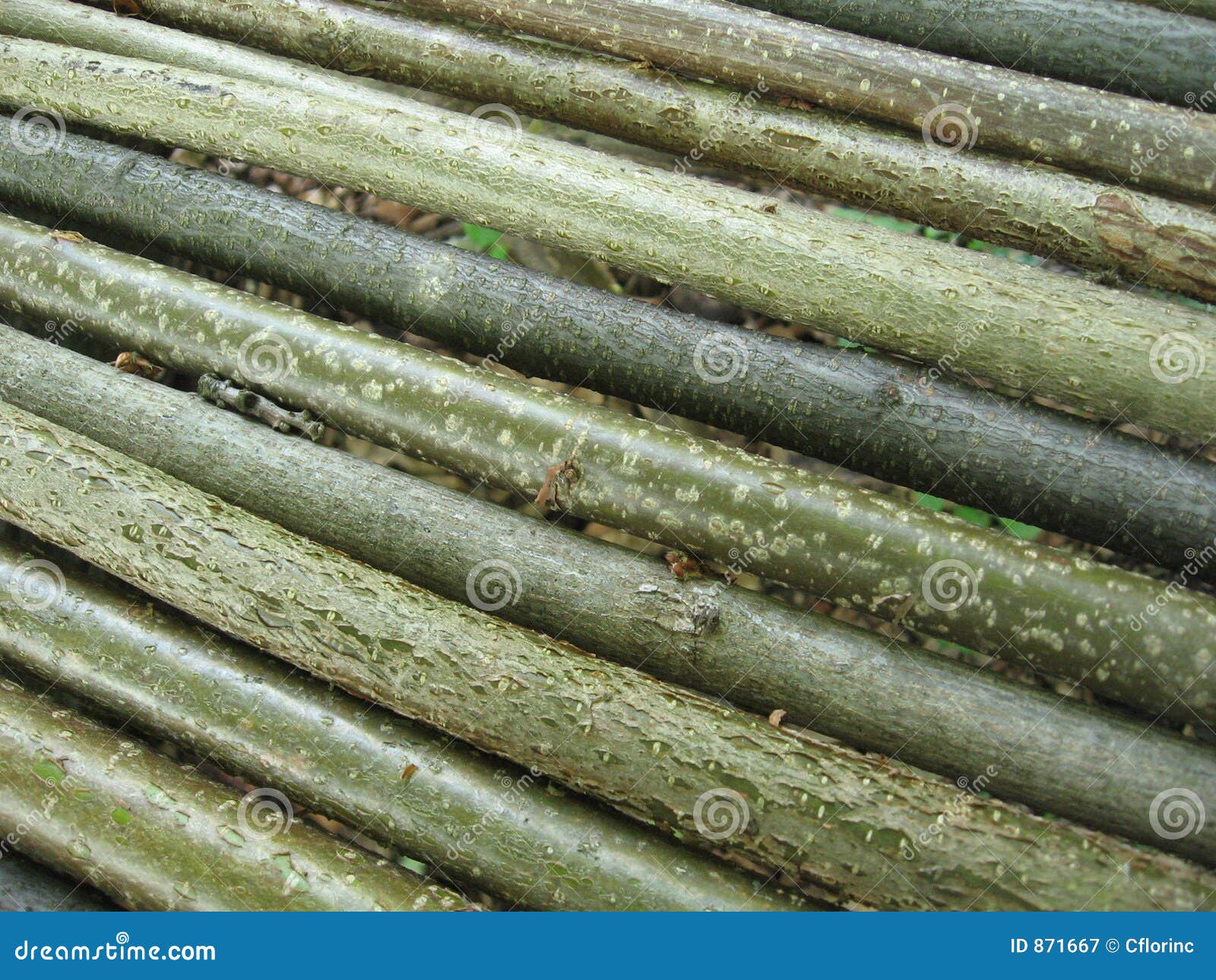 Hazel Sticks Royalty-Free Stock Photography | CartoonDealer.com #871667