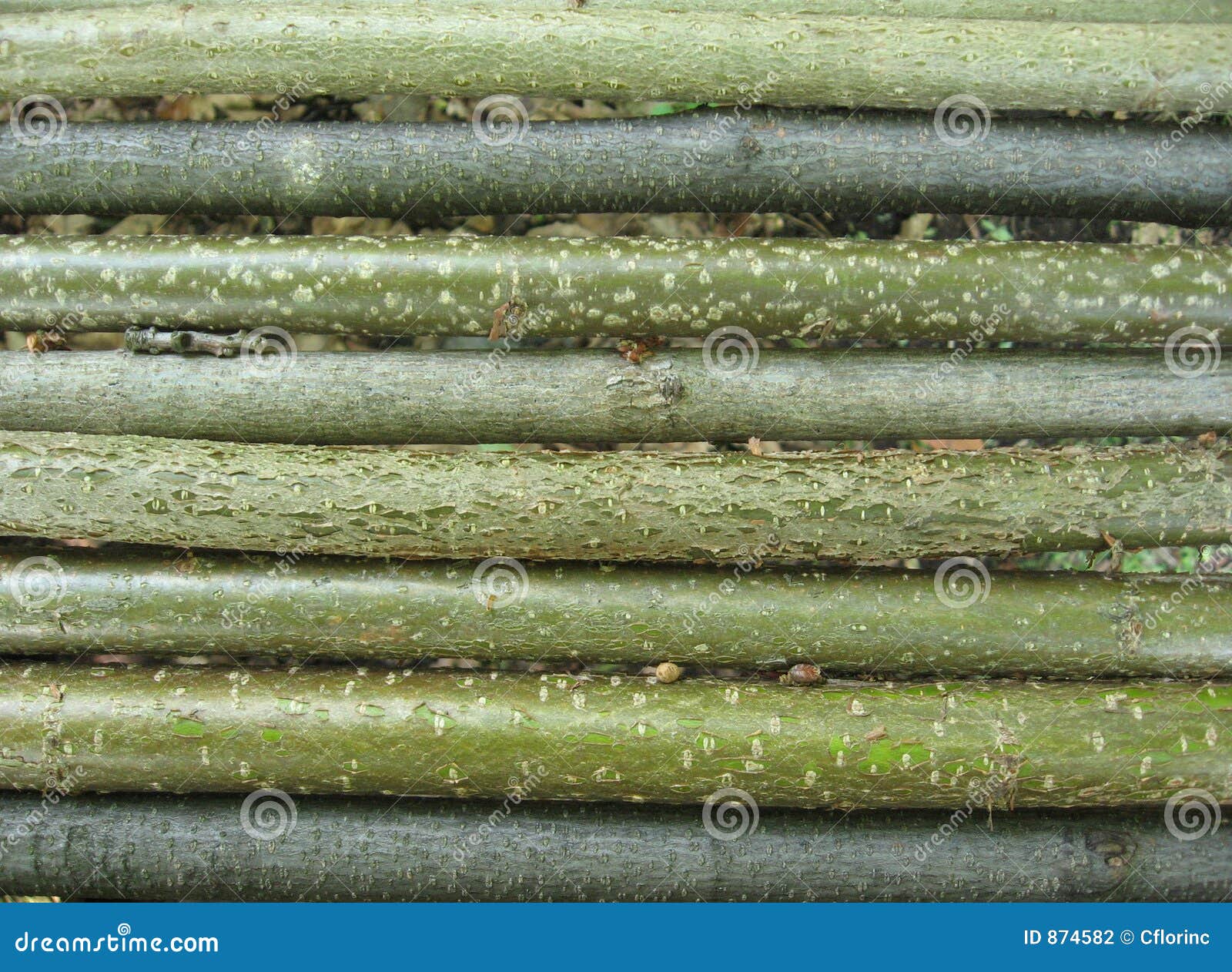Hazel Sticks Royalty-Free Stock Photography | CartoonDealer.com #871667